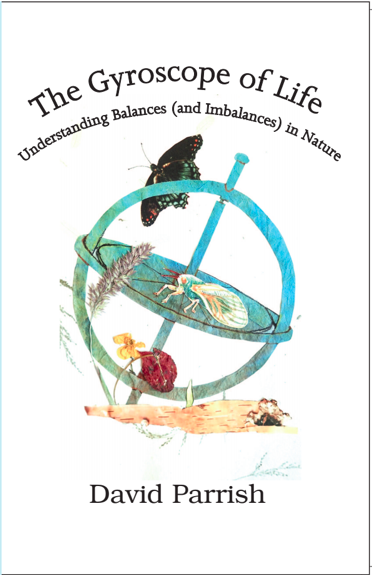 The Gyroscope of Life: Understanding Balances (and Imbalances) in ...