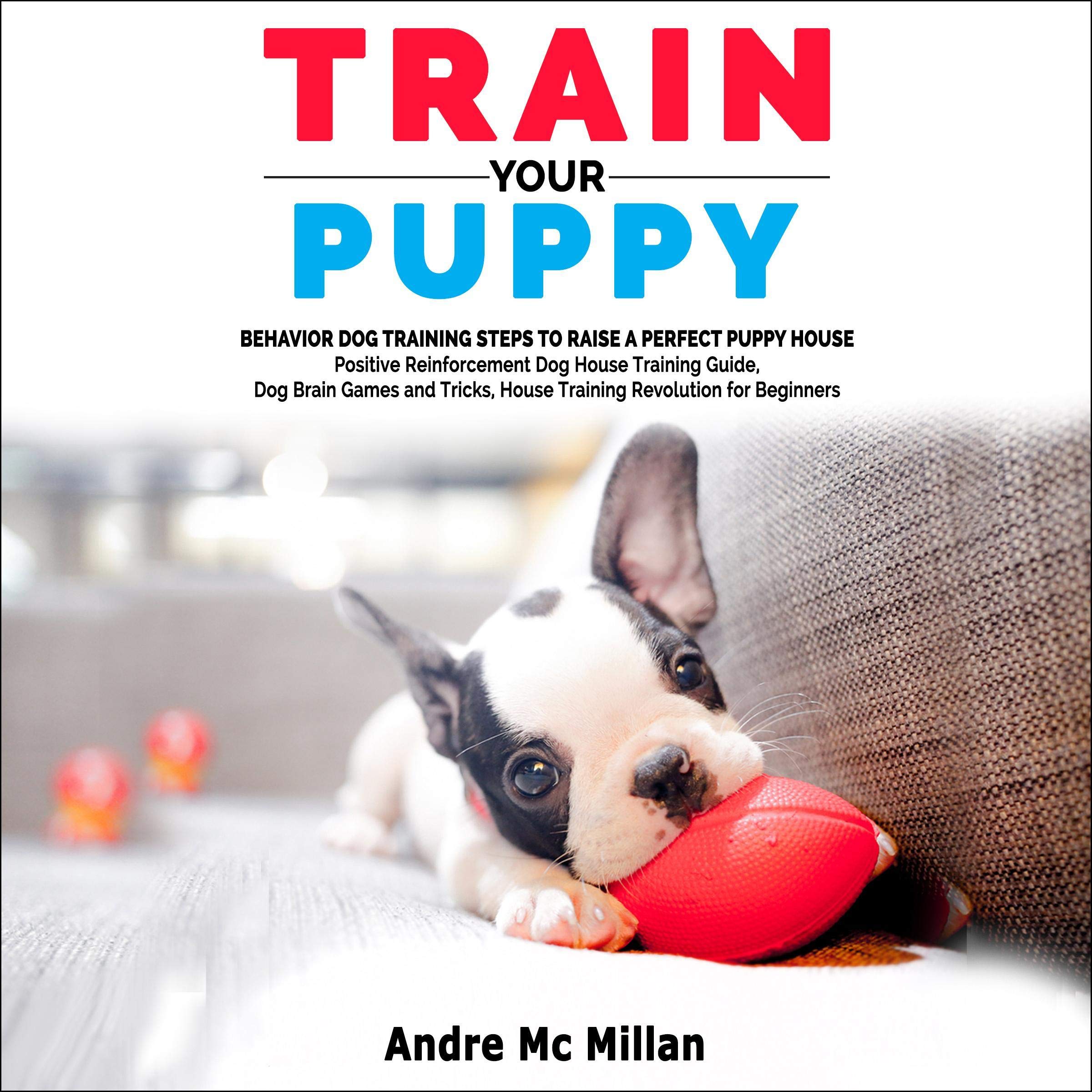 How Do You Train A Behavior Dog