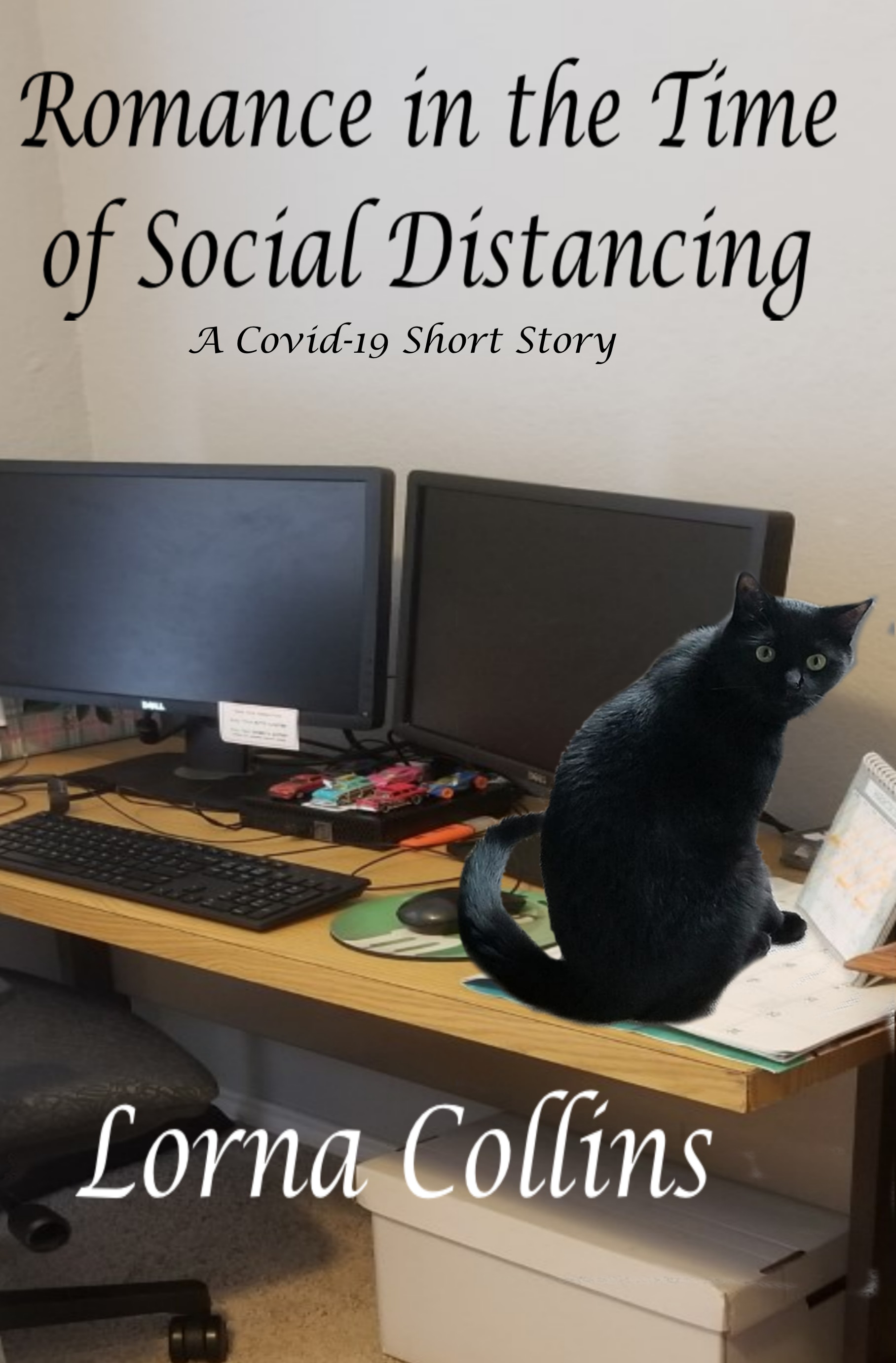 Romance in the Time of Social Distancing by Lorna Collins | Goodreads