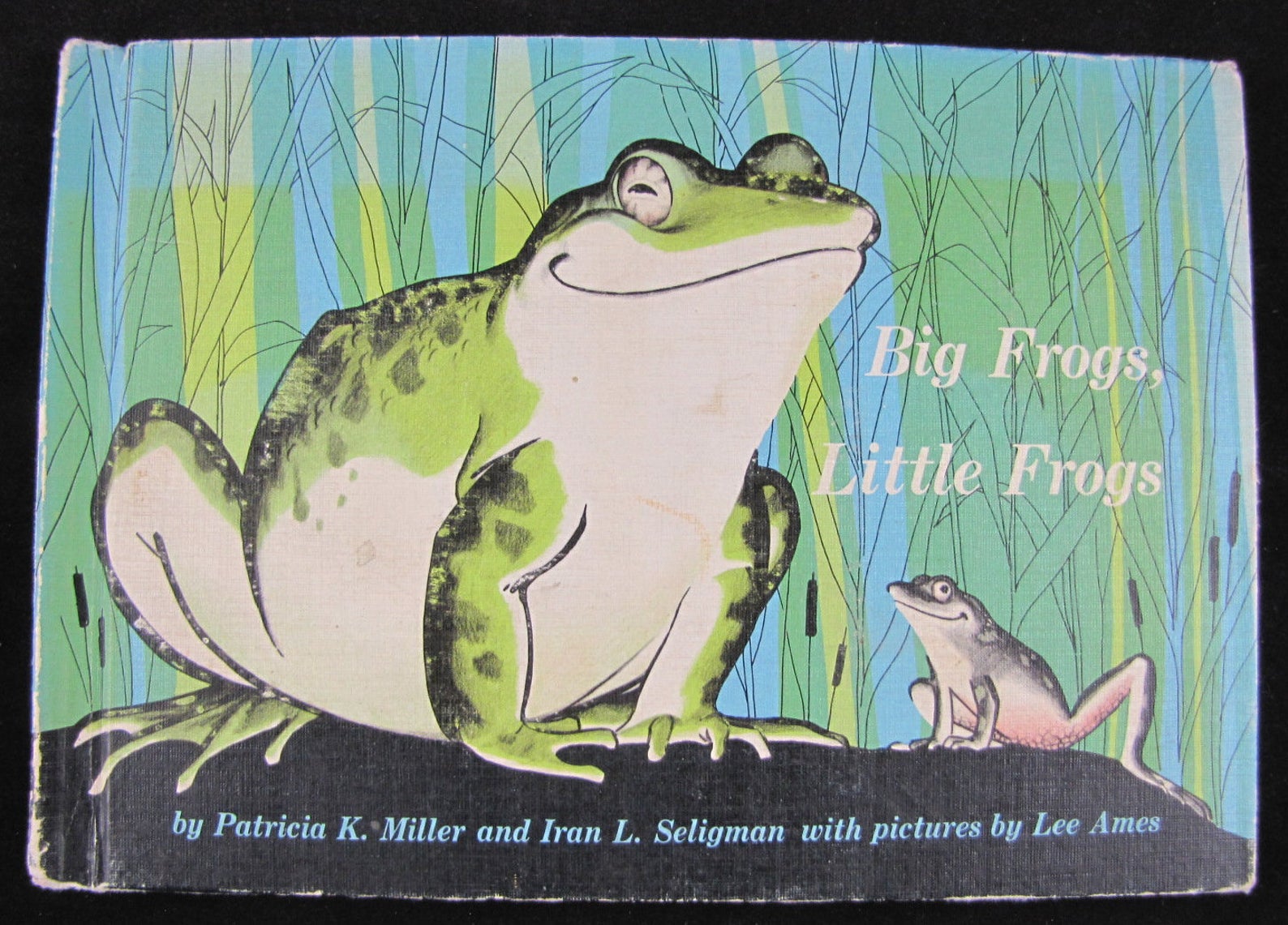 Big Frogs, Little Frogs by Patricia K. Miller | Goodreads