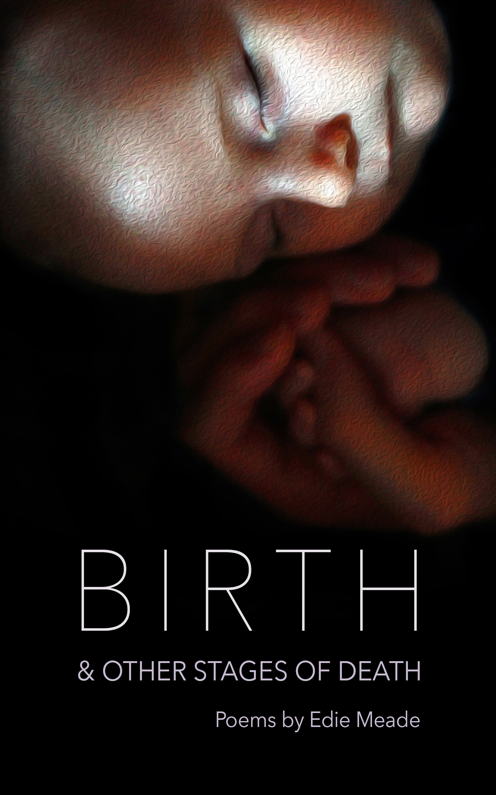 Birth & Other Stages of Death by Edie Meade | Goodreads