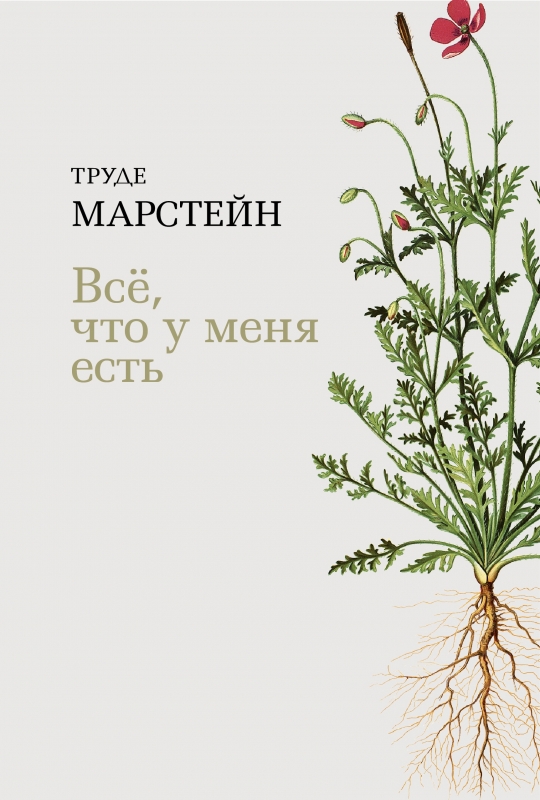 Всё, что у меня есть by Trude Marstein | Goodreads