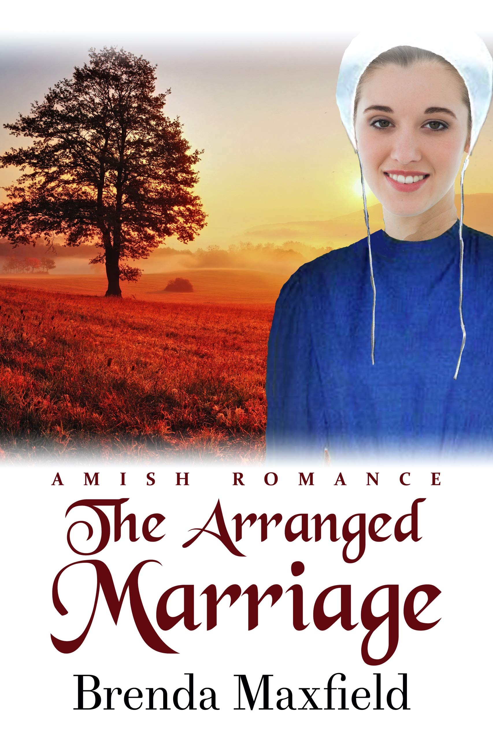 The Arranged Marriage (Sadie's Story Book 3) by Brenda Maxfield | Goodreads