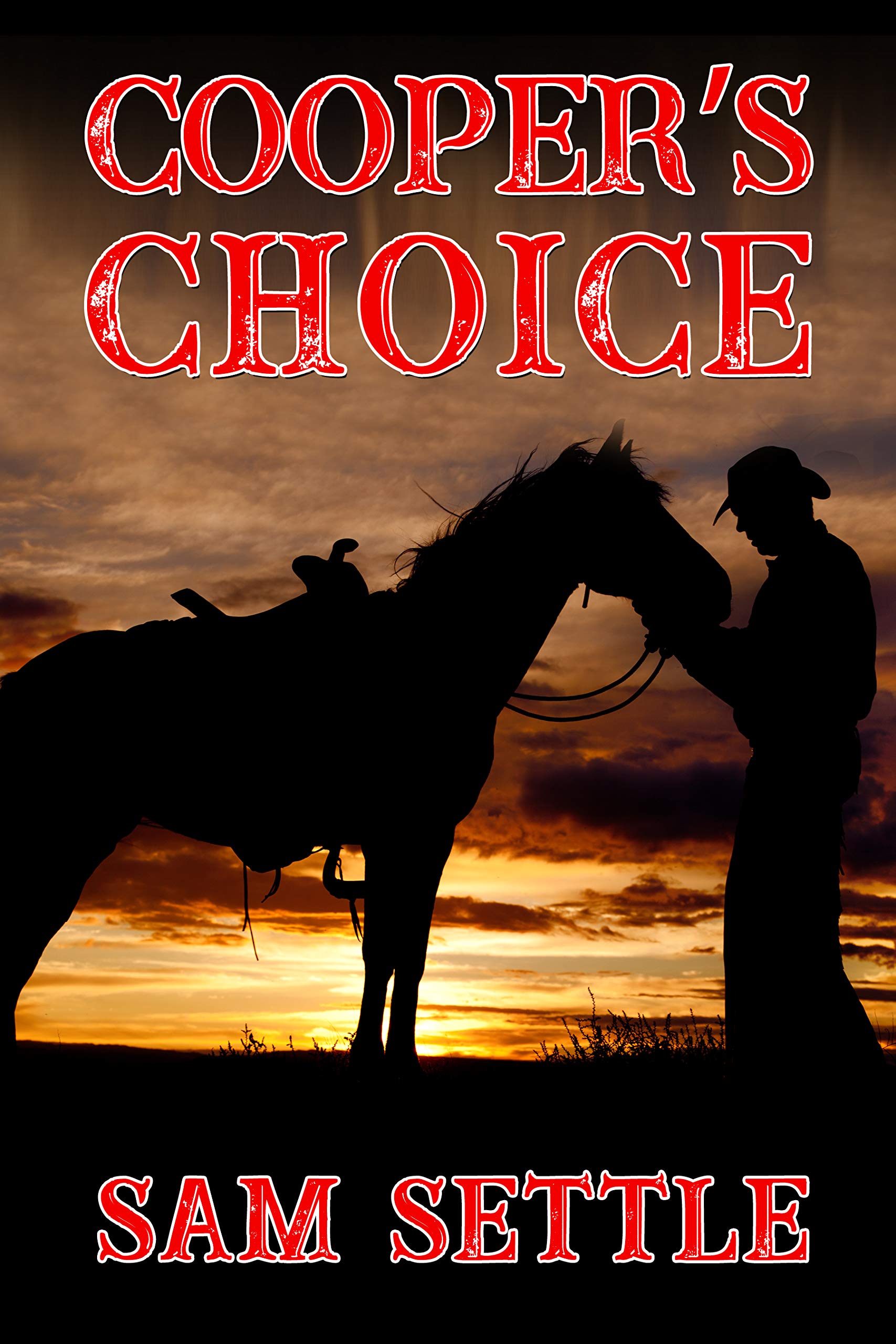 Cooper’s Choice (Cooper Nash Book 5) by Sam Settle | Goodreads