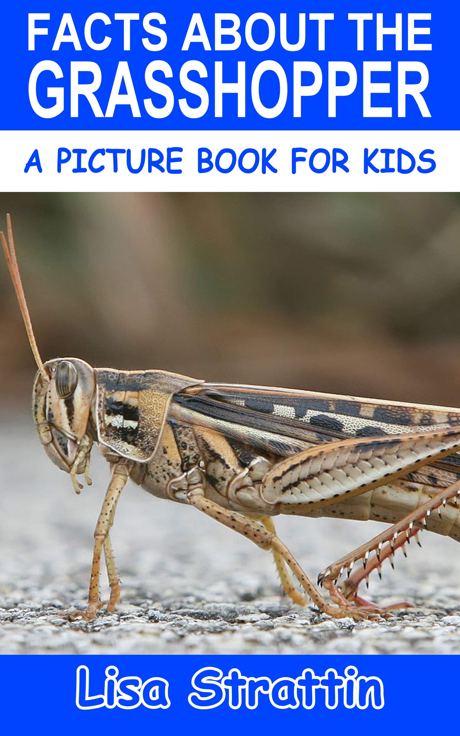 Facts About the Grasshopper by Lisa Strattin | Goodreads