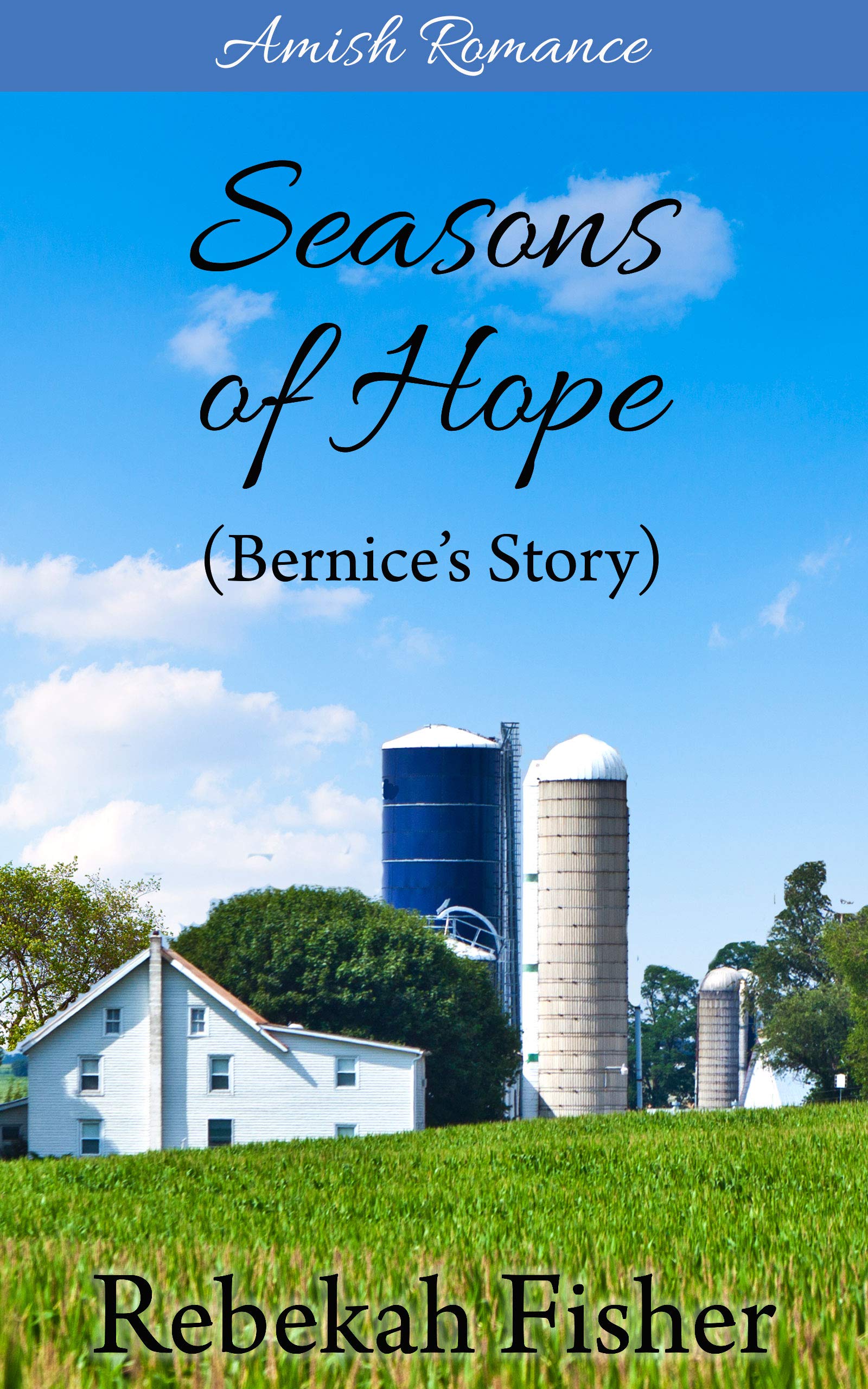 Bernice's Story (Seasons of Hope Book 1) by Rebekah Fisher | Goodreads