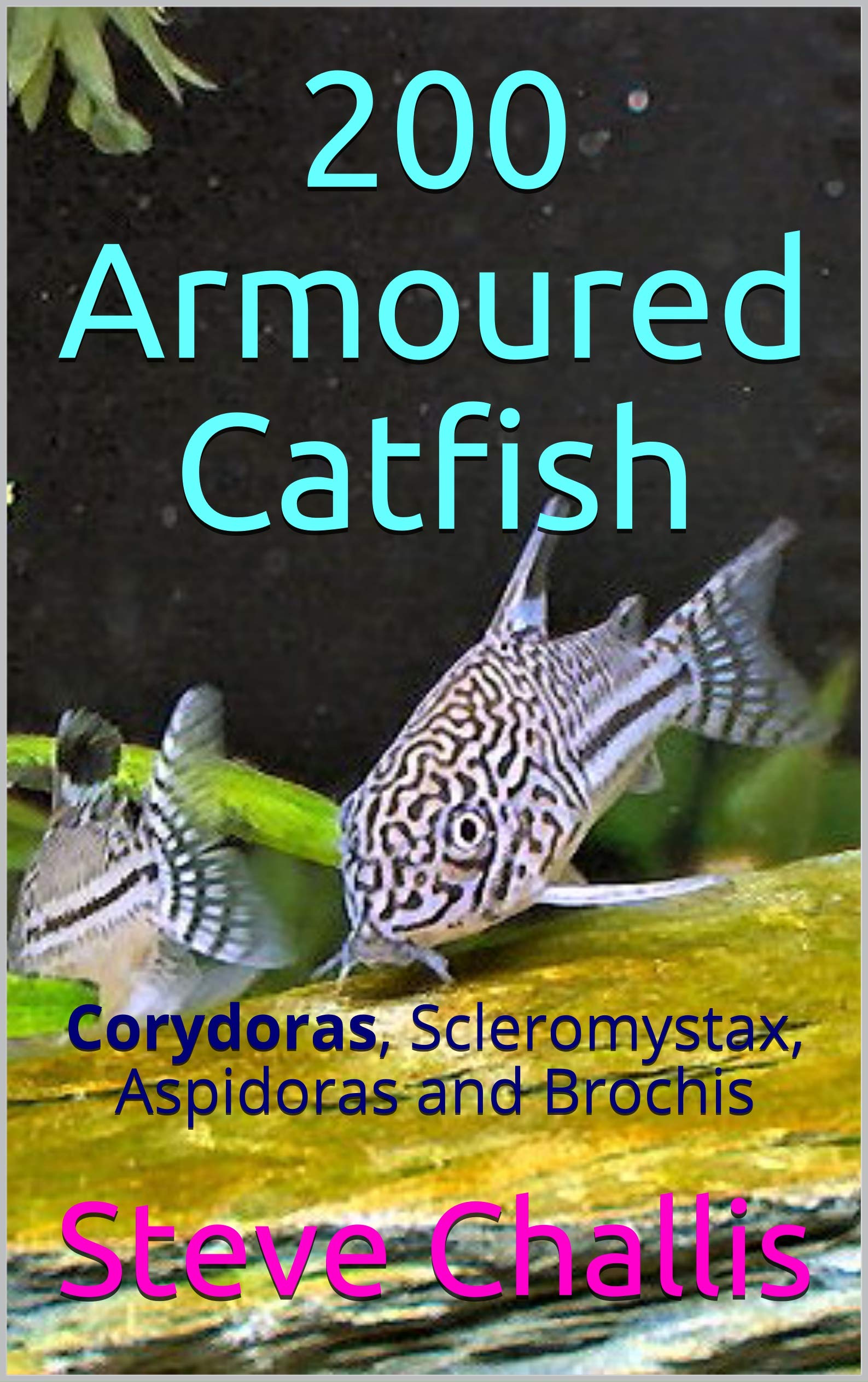 200 Armoured Catfish: Corydoras, Scleromystax, Aspidoras and Brochis by ...