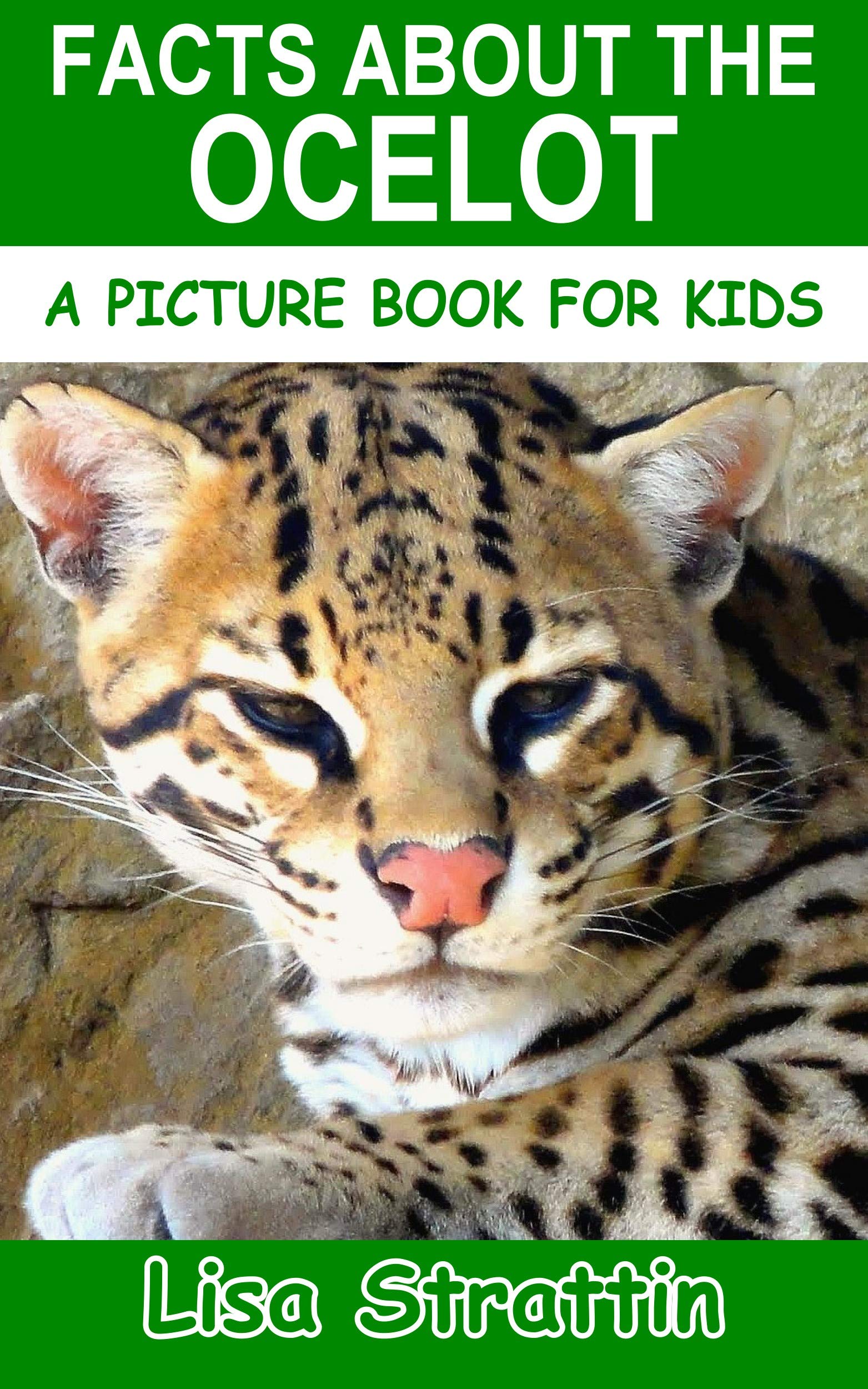 Facts About the Ocelot (A Picture Book For Kids 323) by Lisa Strattin ...