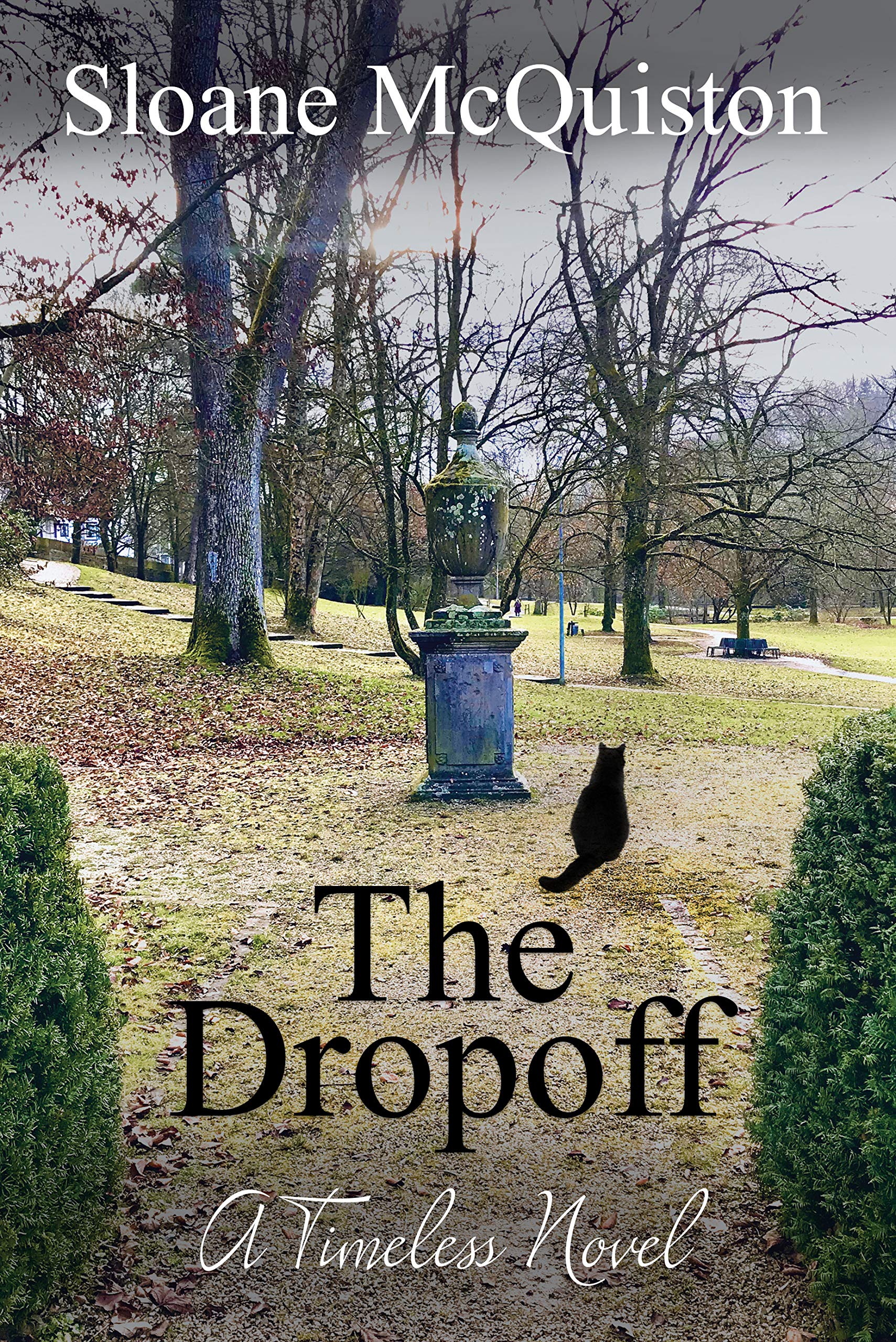 The Dropoff: A Timeless Novel by Sloane McQuiston | Goodreads