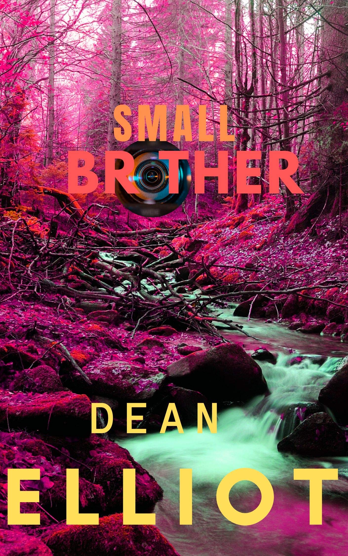 Small Brother (A Mercy Beaumont Thriller #1) by Dean Elliot | Goodreads