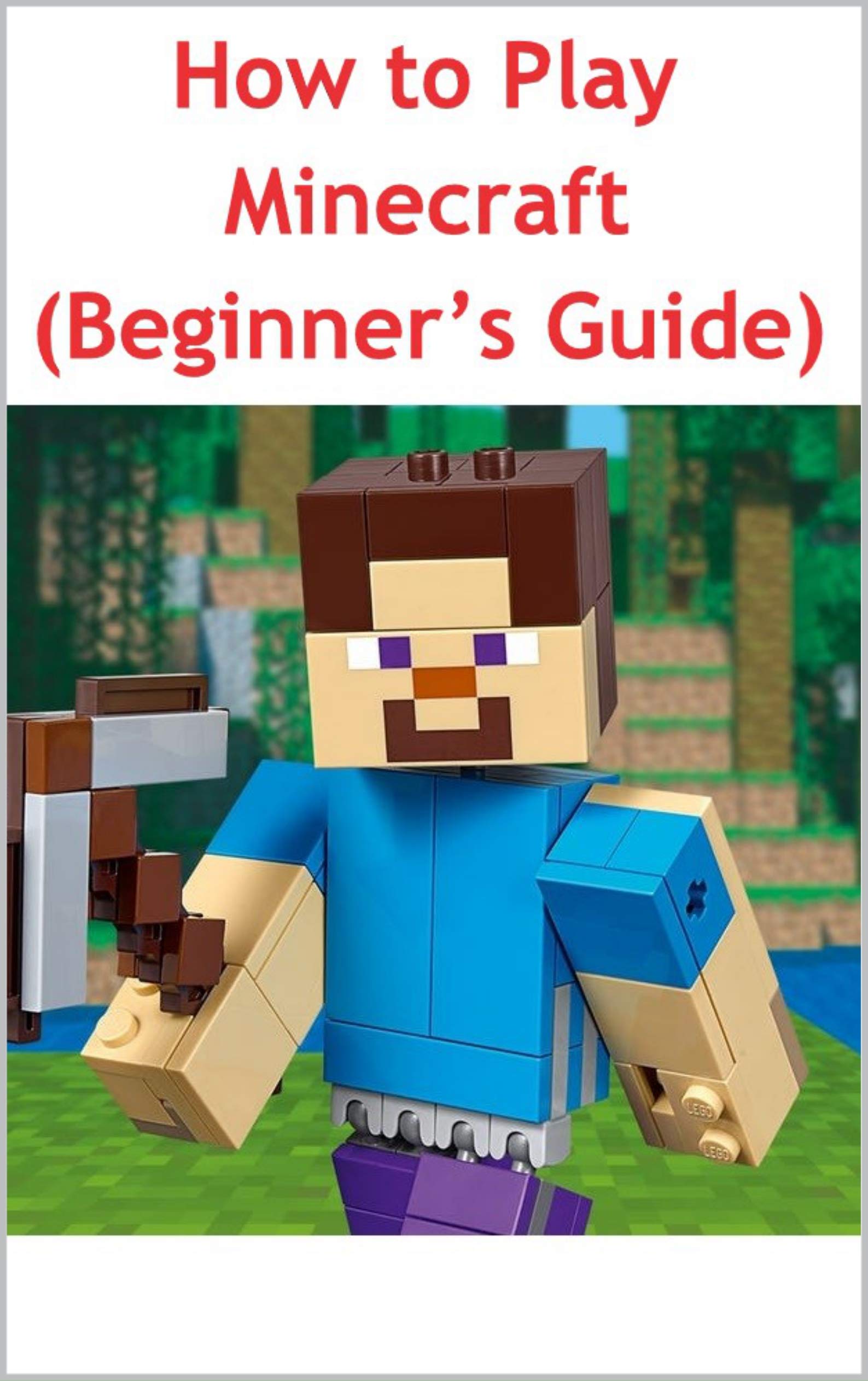 Best Minecraft Book For Beginners at Brianna Curtis blog