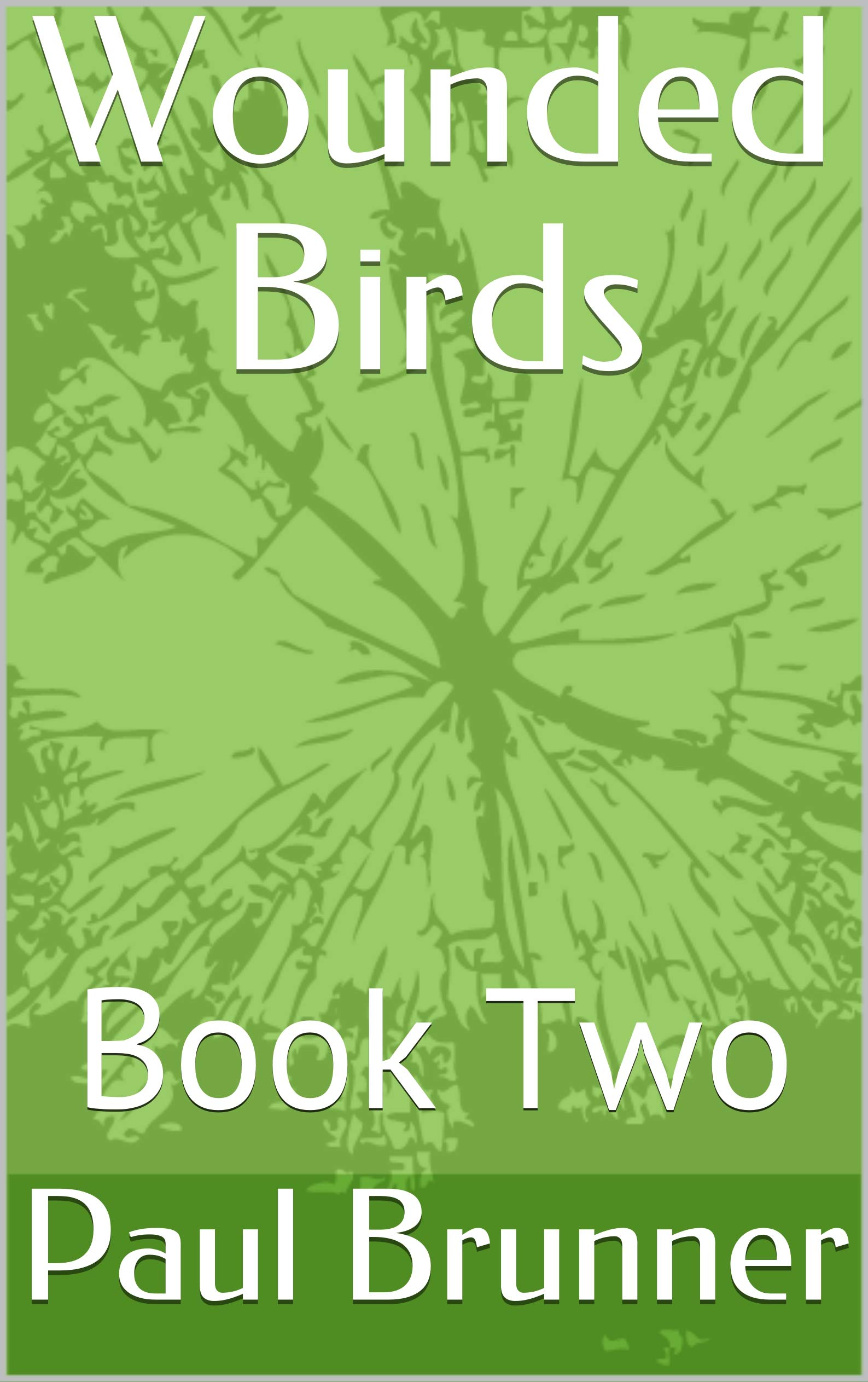 Wounded Birds Book two: Second Chances by Paul Brunner | Goodreads