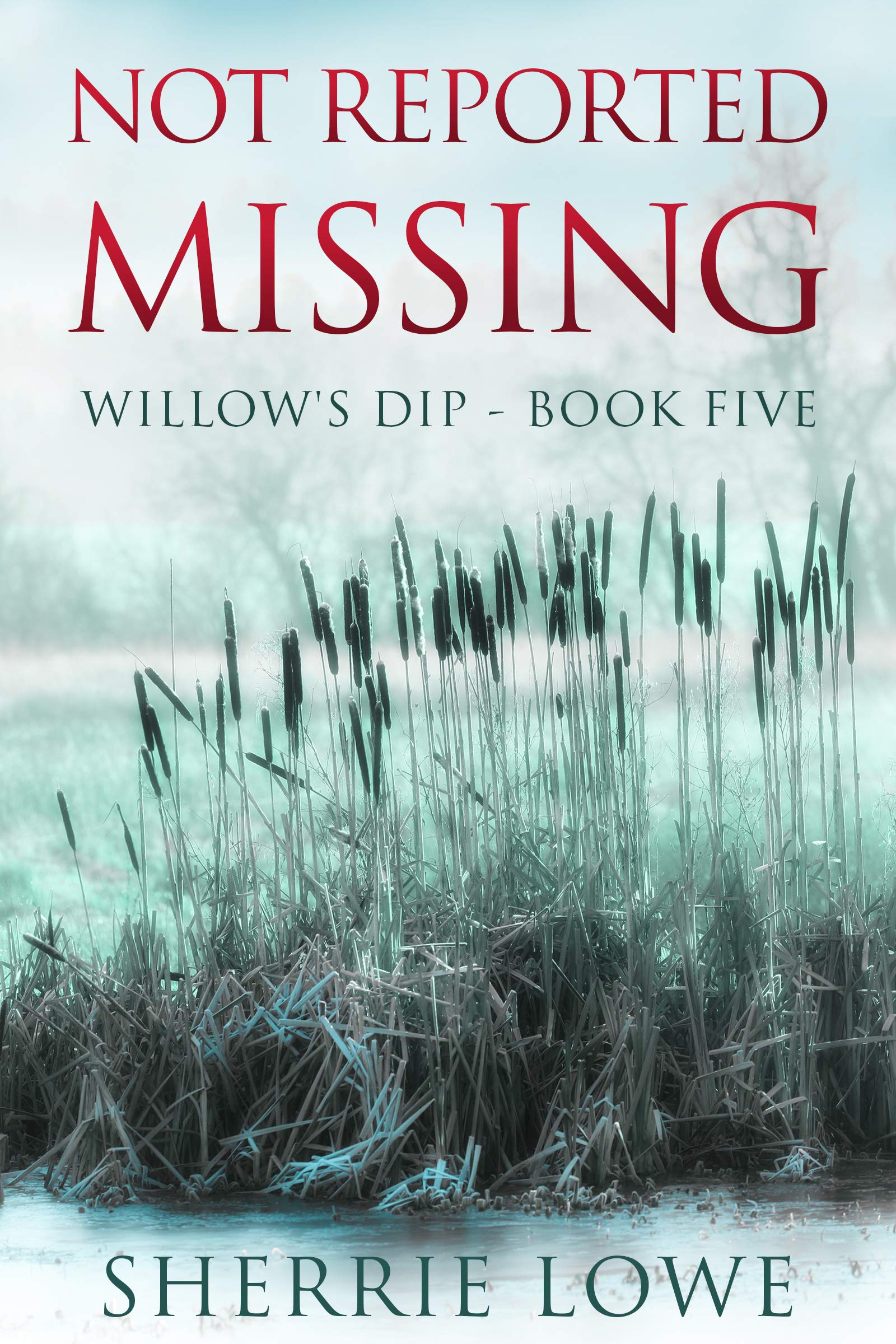 Not Reported Missing: Willow's Dip Book Five by Sherrie Lowe | Goodreads