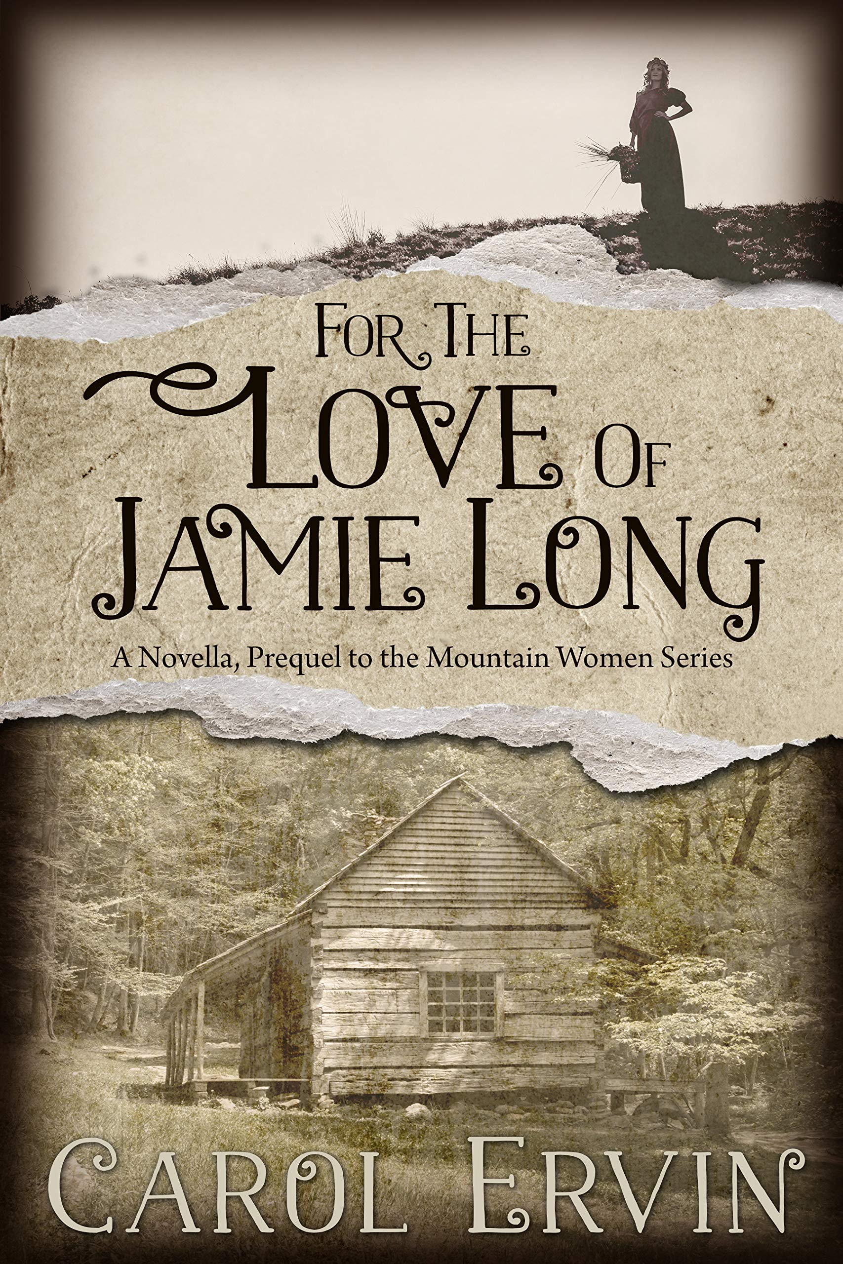 For the Love of Jamie Long by Carol Ervin | Goodreads