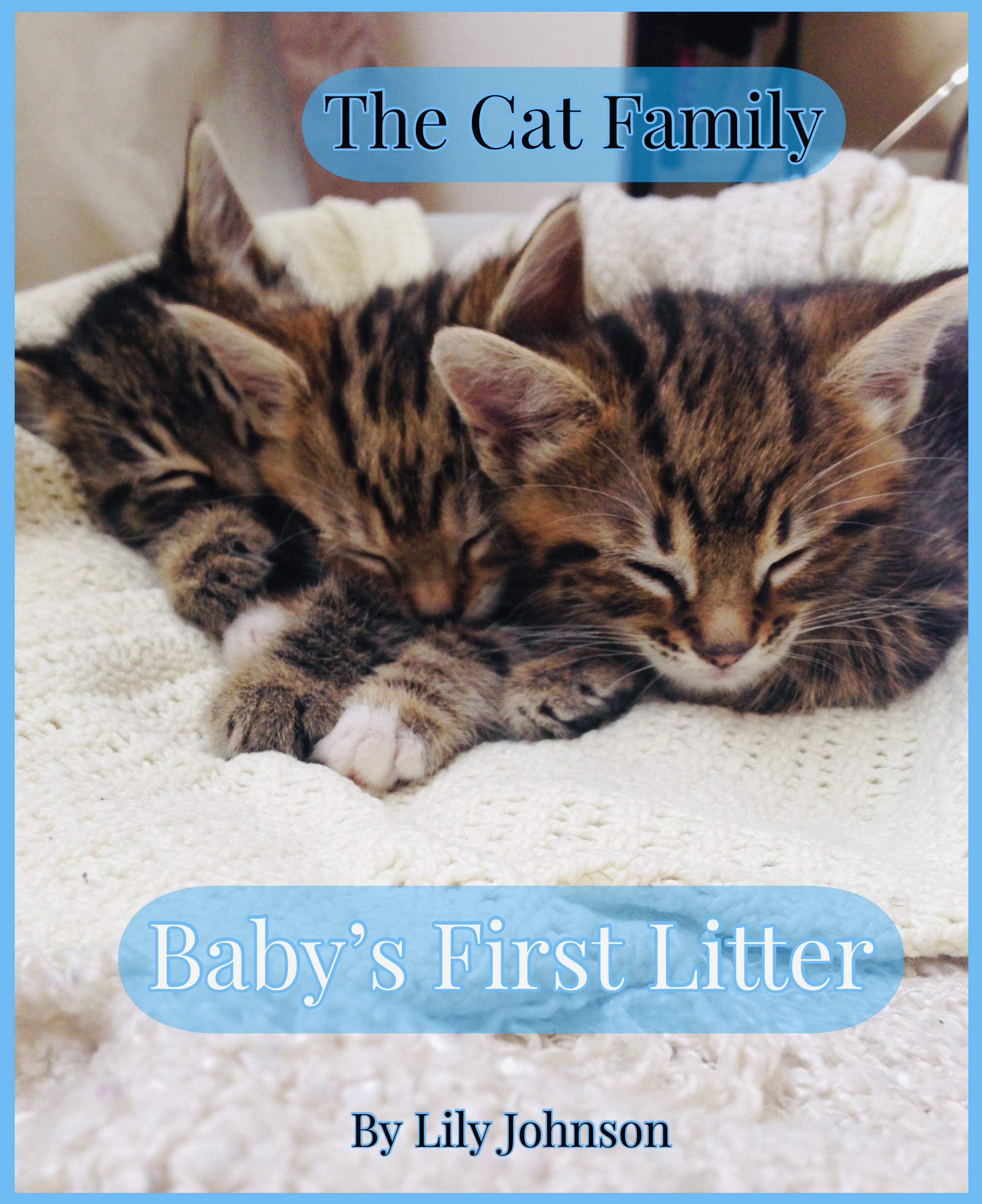 The Cat Family Picture Book: Baby’s First Litter - Super Adorable Cute ...