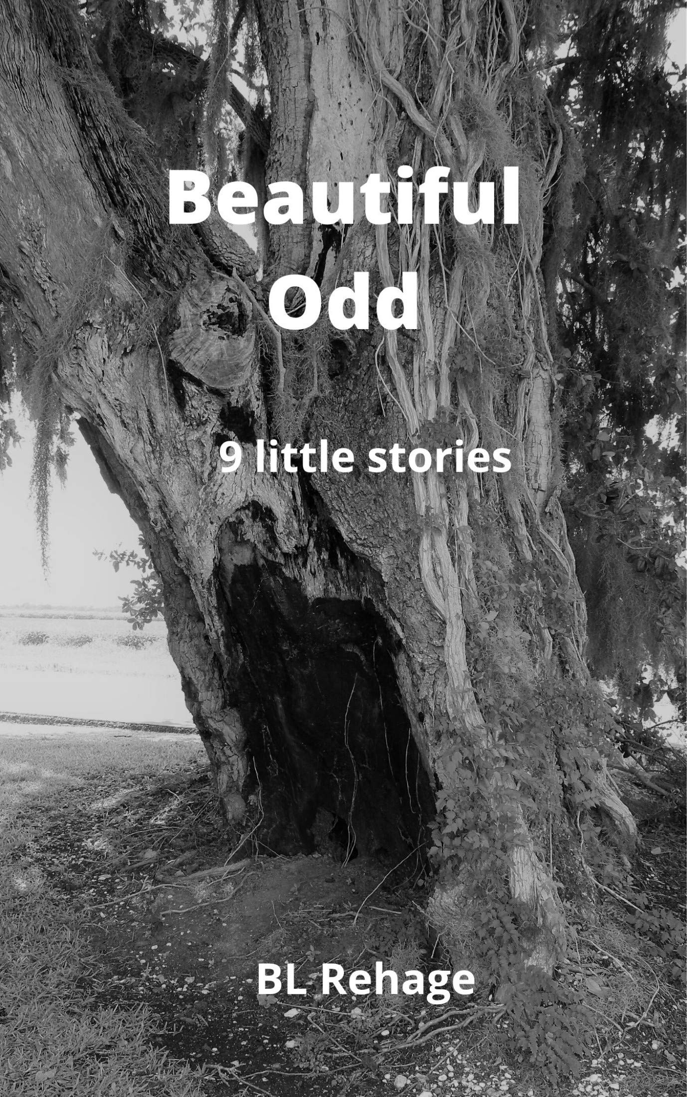 Beautiful Odd: 9 little stories by BL Rehage | Goodreads