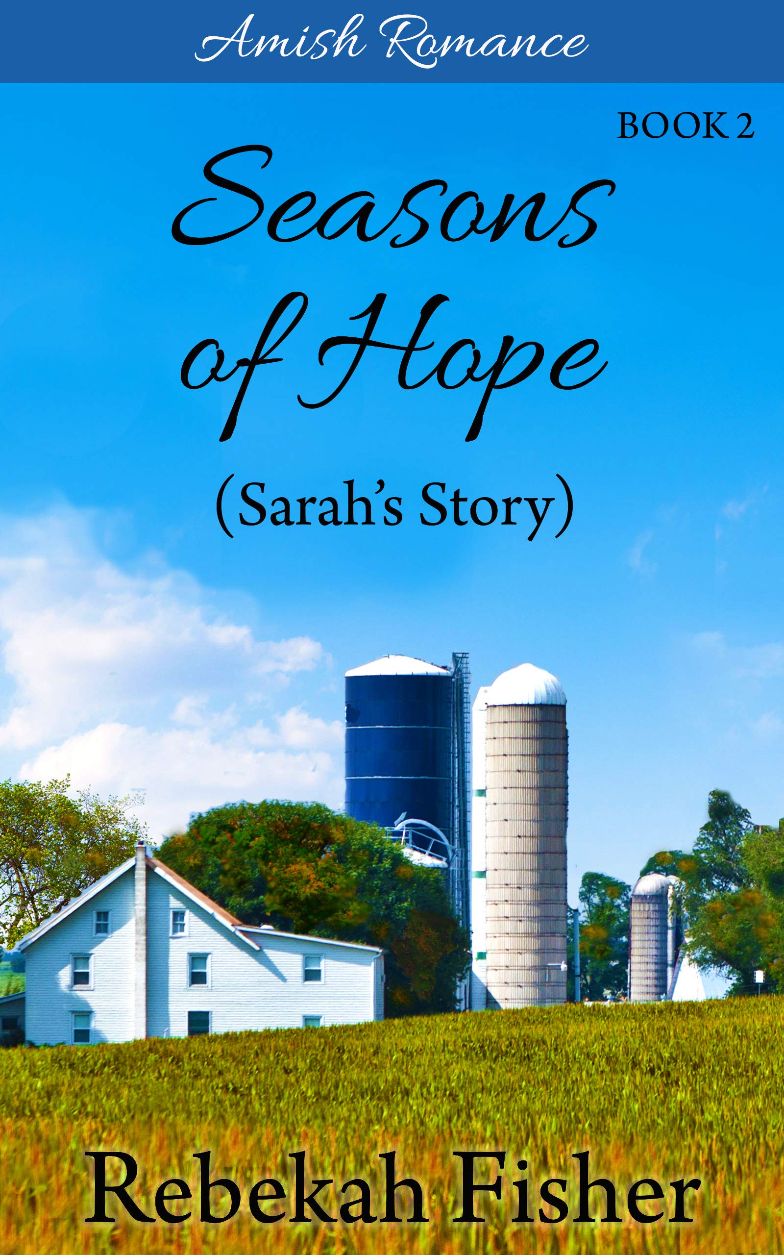 Sarah's Story (Seasons of Hope Book 2) by Rebekah Fisher | Goodreads