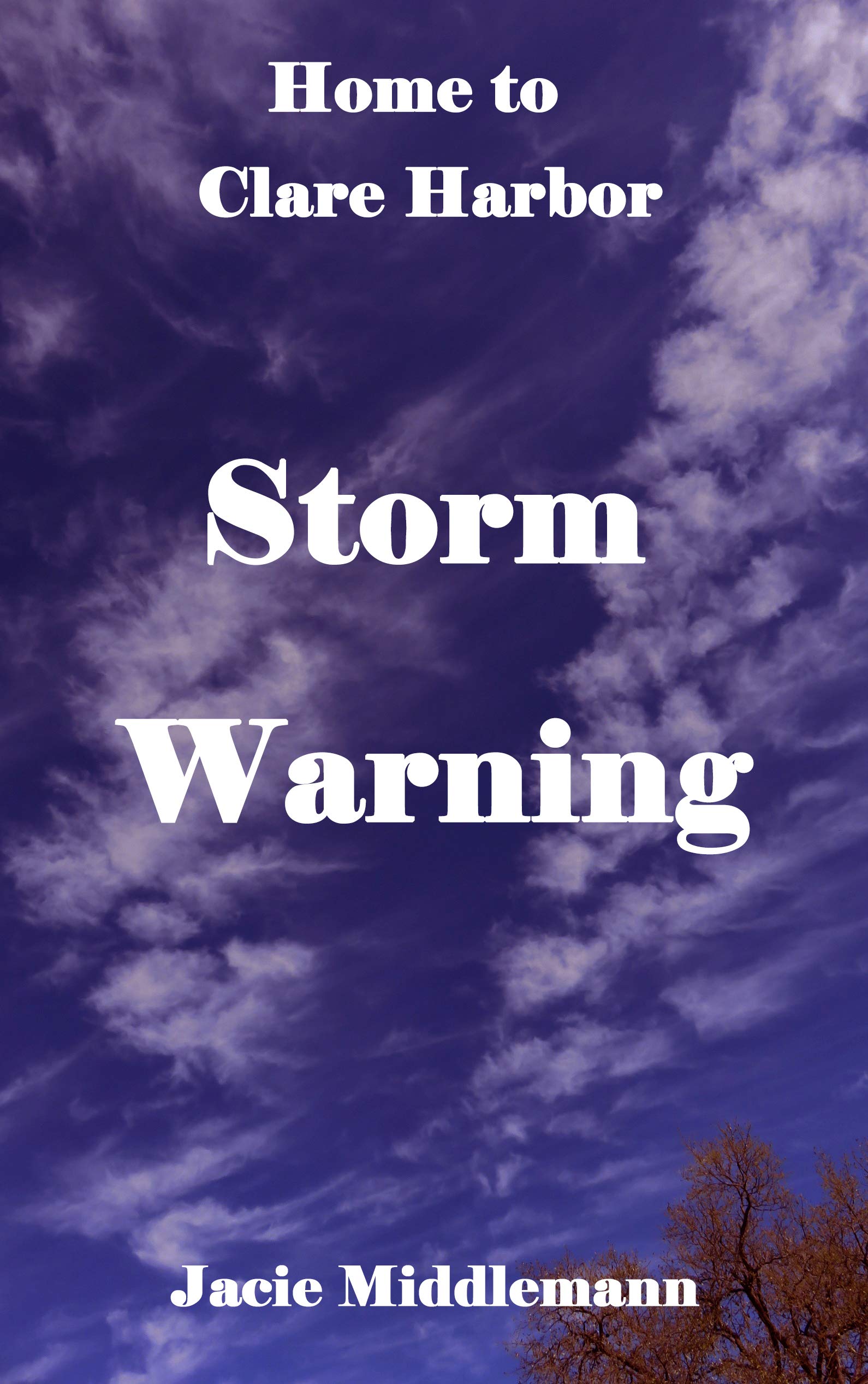 Storm Warning (Home to Clare Harbor #6) by Jacie Middlemann | Goodreads
