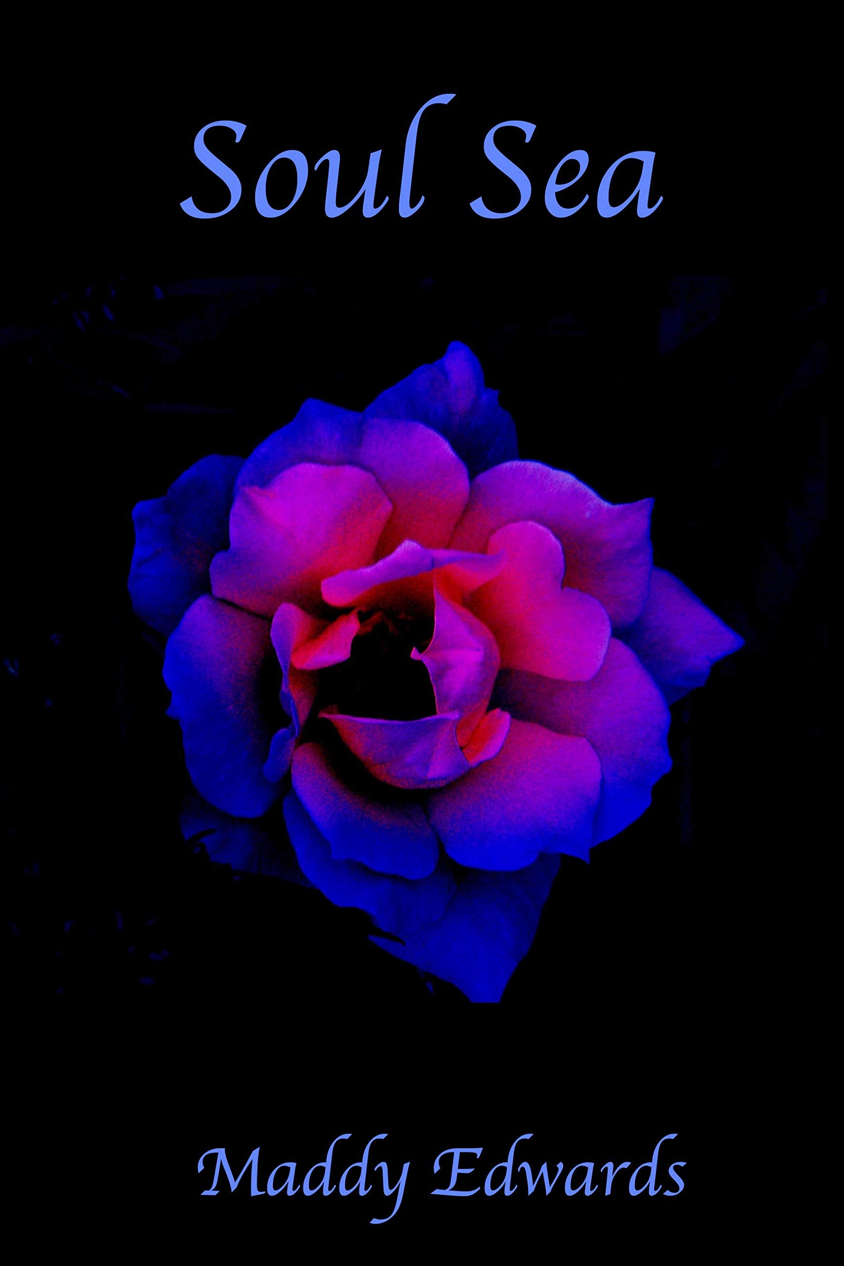 Soul Sea (One Black Rose Book 8) by Maddy Edwards | Goodreads