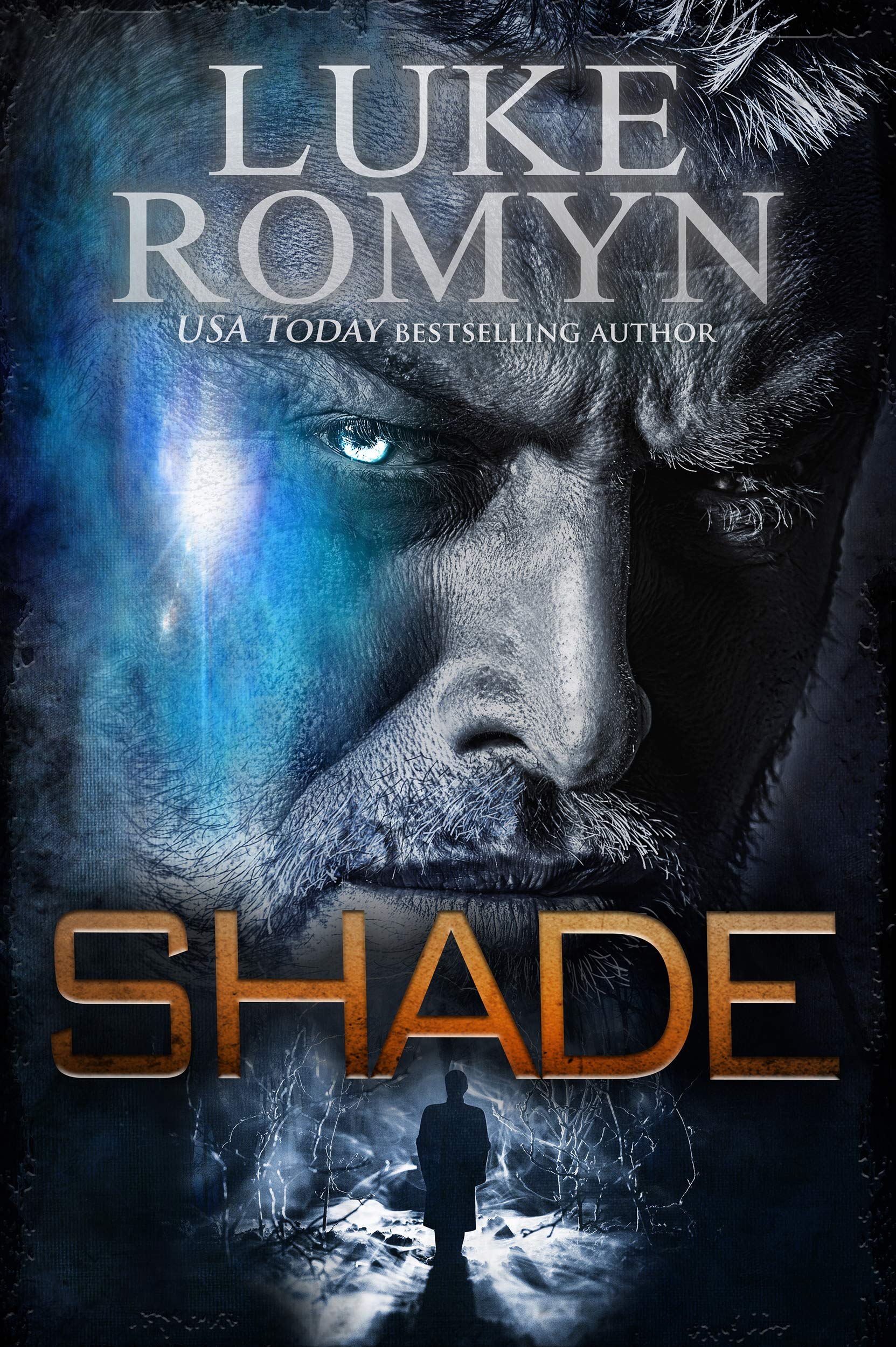 Shade (The Shade Trilogy Book 2) by Luke Romyn | Goodreads