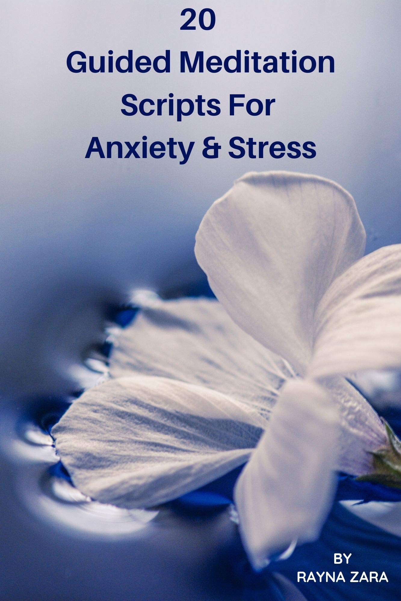 20 Guided Meditation Scripts for Stress & Anxiety: Mindfulness ...