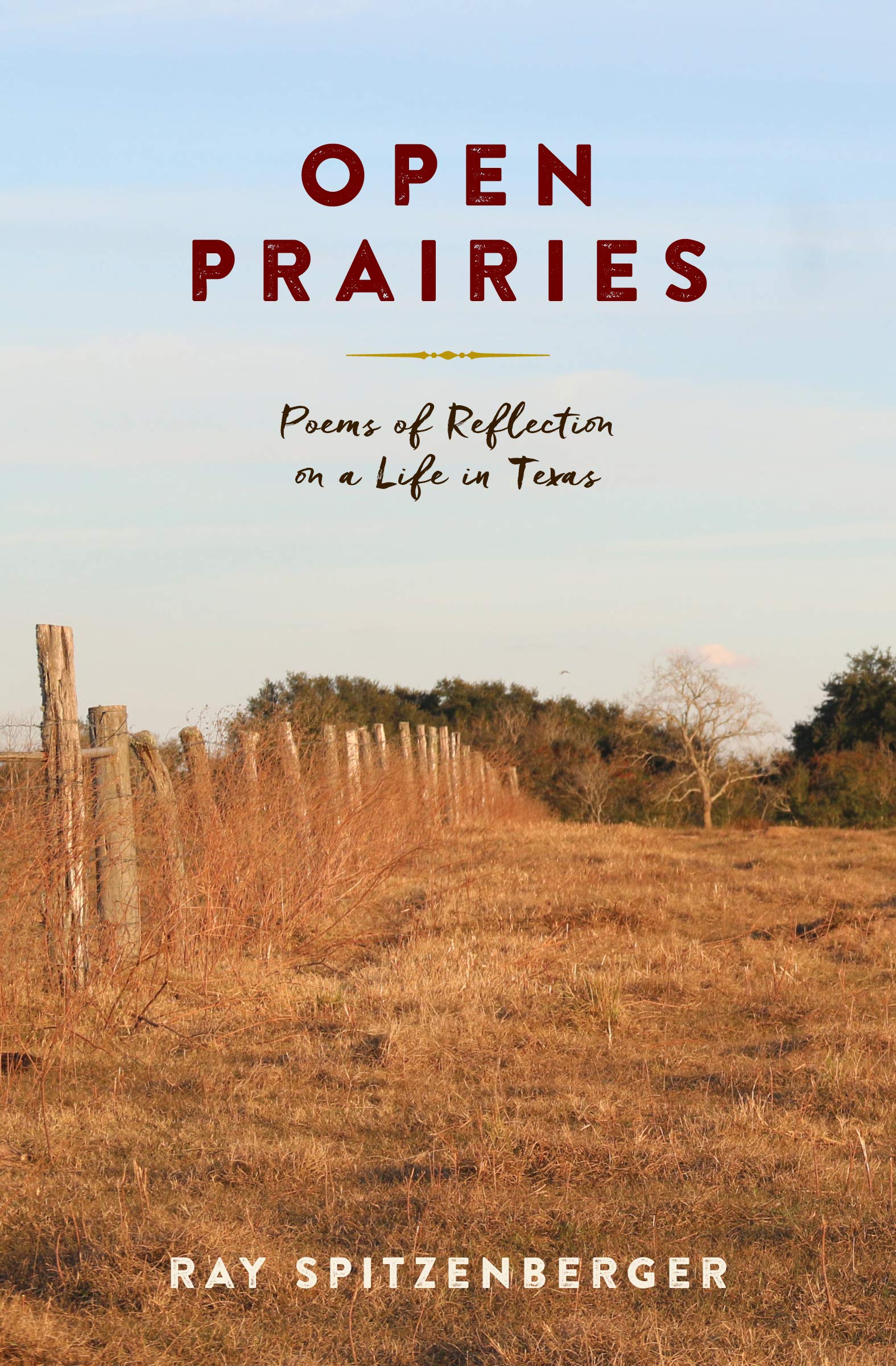 Open Prairies: Poems of Reflection on a Life in Texas by Ray ...
