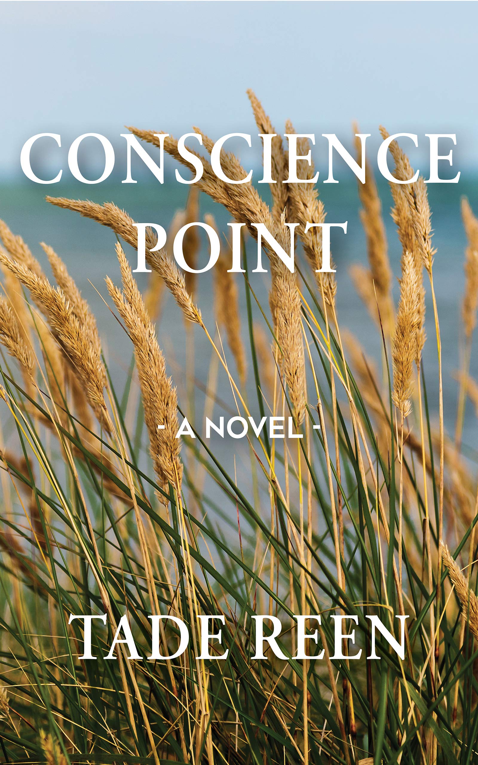 Conscience Point by Tade Reen | Goodreads