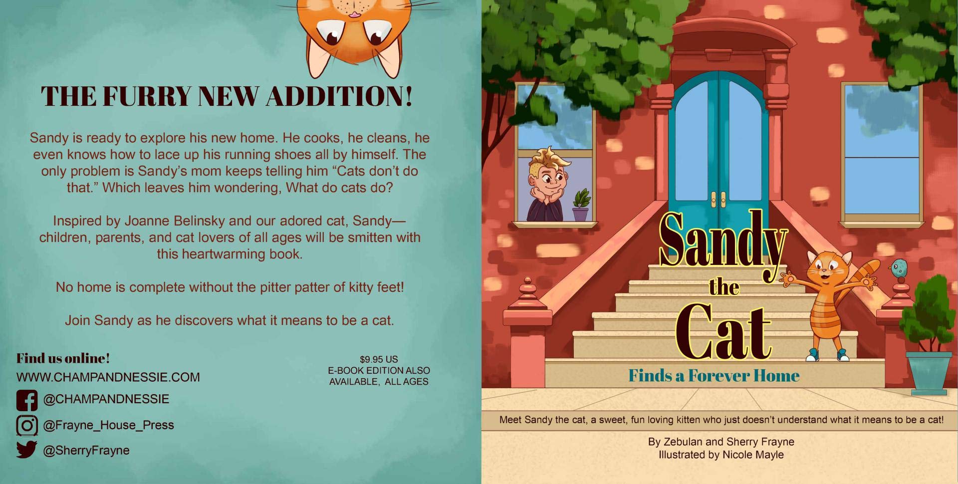 Sandy the Cat: Finds a Forever Home by Sherry Frayne | Goodreads