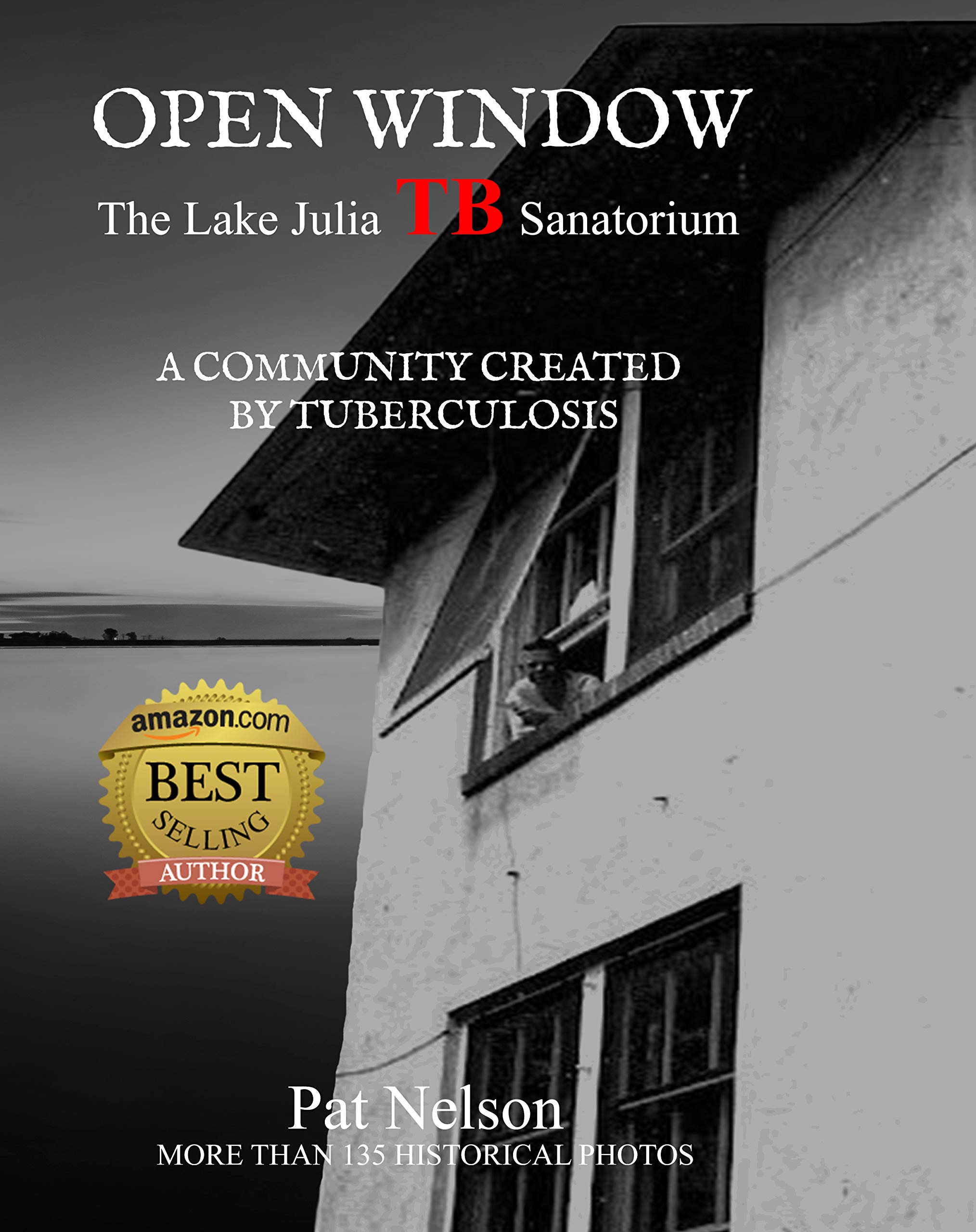 Open Window: The Lake Julia TB Sanatorium, A Community Created by ...