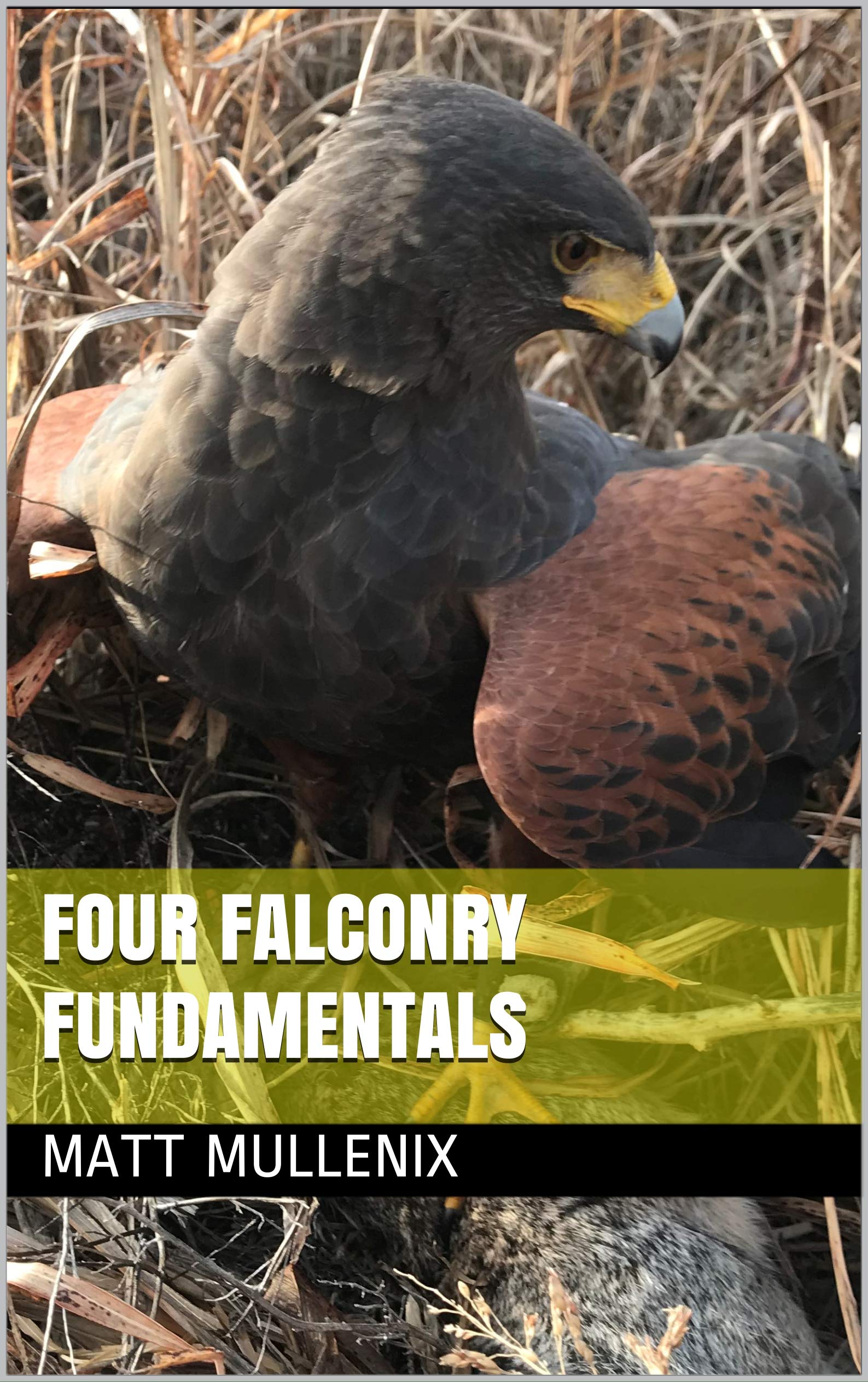 Four Falconry Fundamentals by Matthew Mullenix | Goodreads