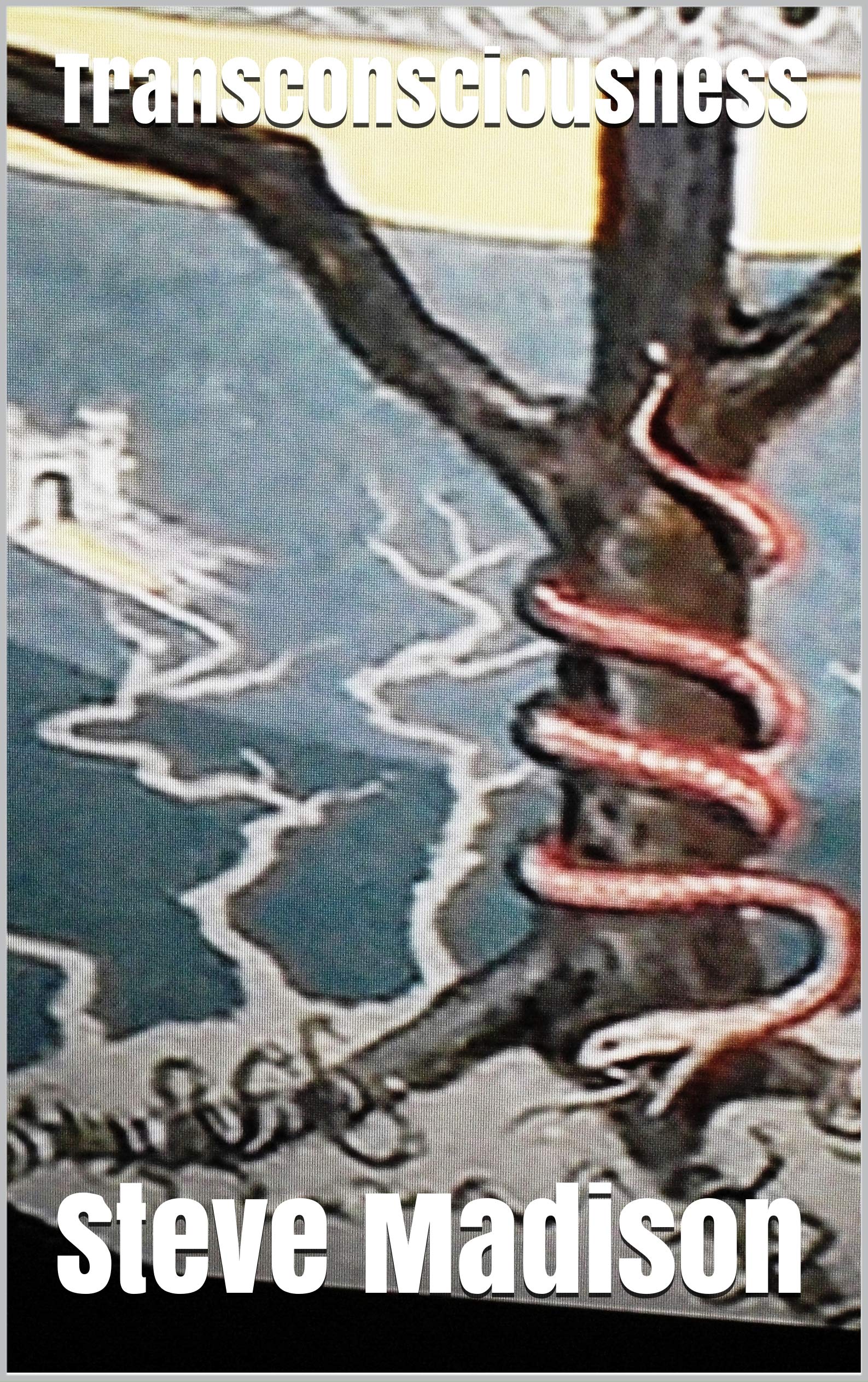 Transconsciousness by Steve Madison | Goodreads