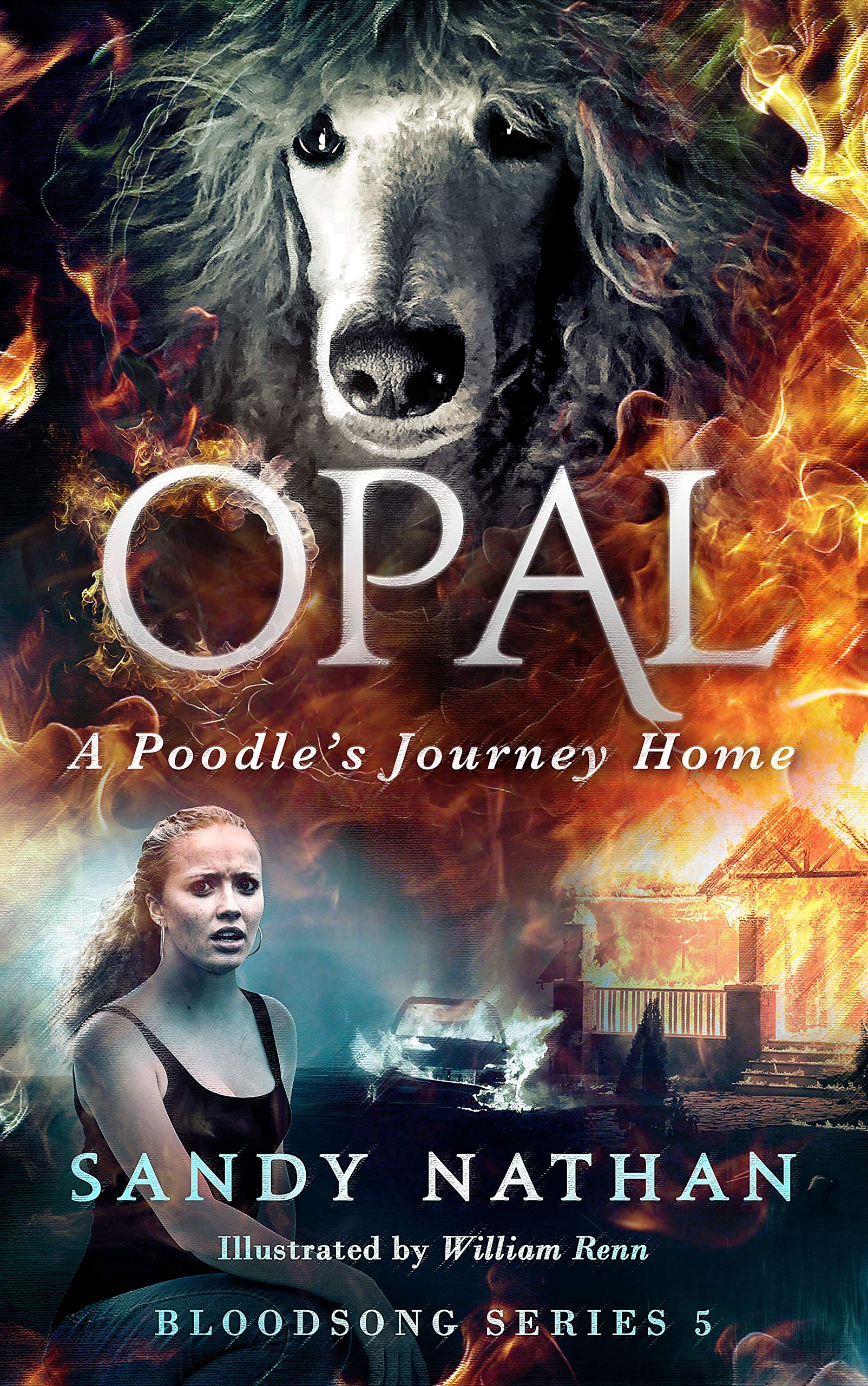 Opal: A Poodle's Journey Home (Bloodsong Series #5) by Sandy Nathan ...