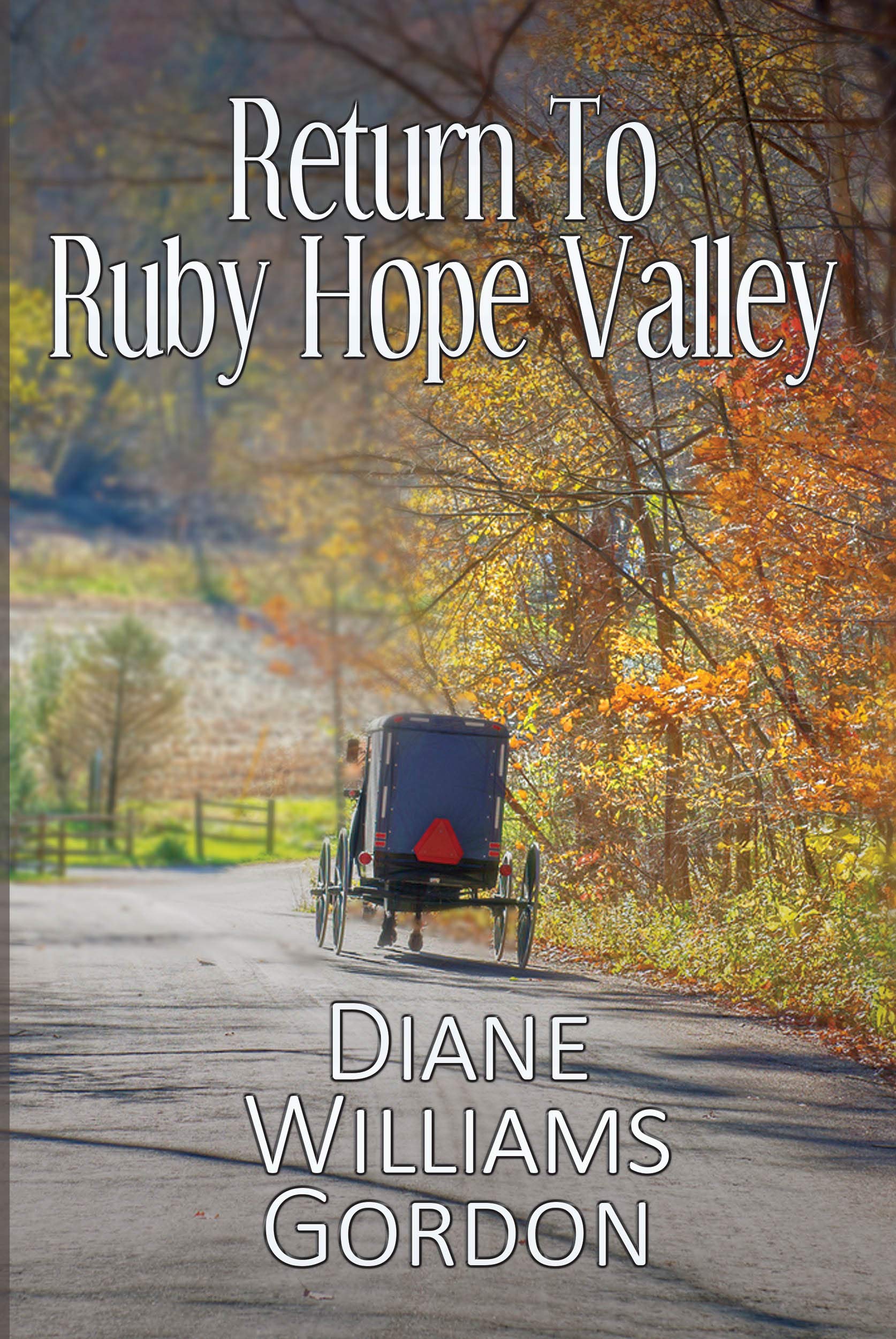 Return to Ruby Hope Valley by Diane Williams Gordon | Goodreads