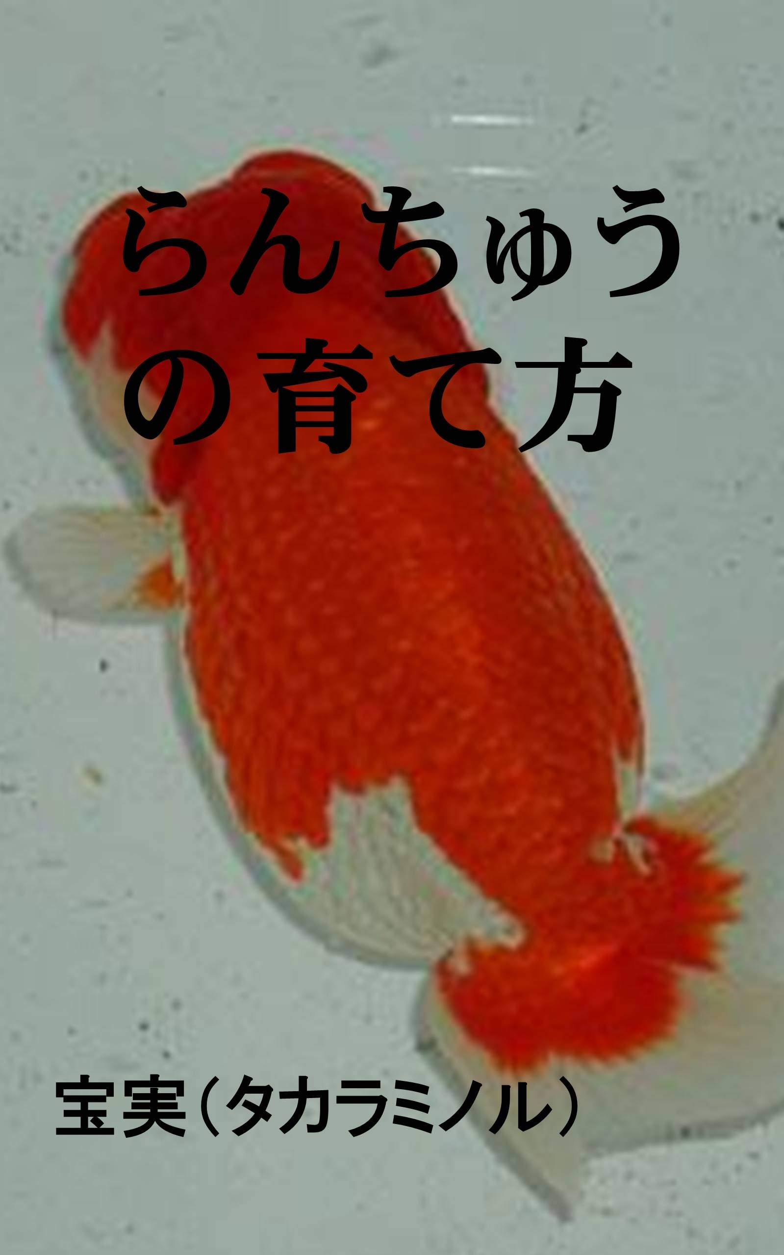 How to grow Goldfish Ranchu by takaraminoru | Goodreads