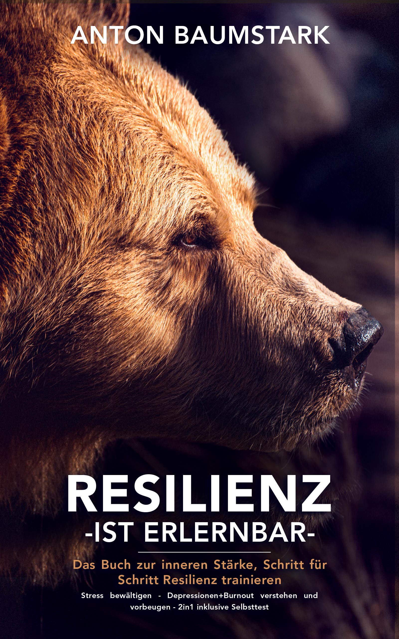 Resilienz ist erlernbar: Das Buch zur inneren Stärke: Schritt für ...