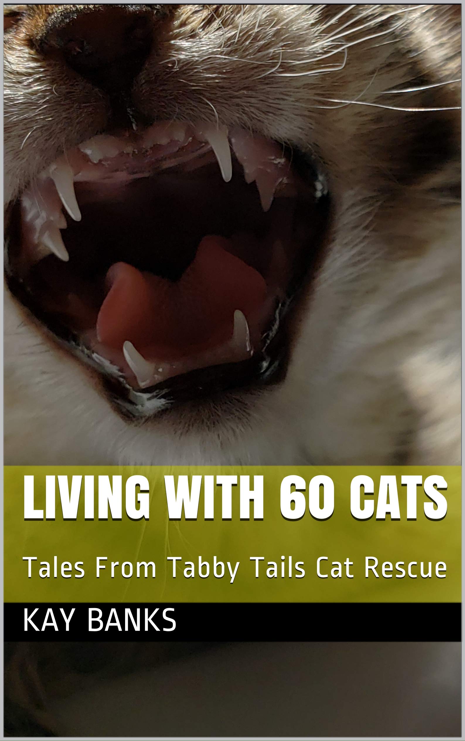 Living With 60 Cats: Tales From Tabby Tails Cat Rescue by Kay Banks ...