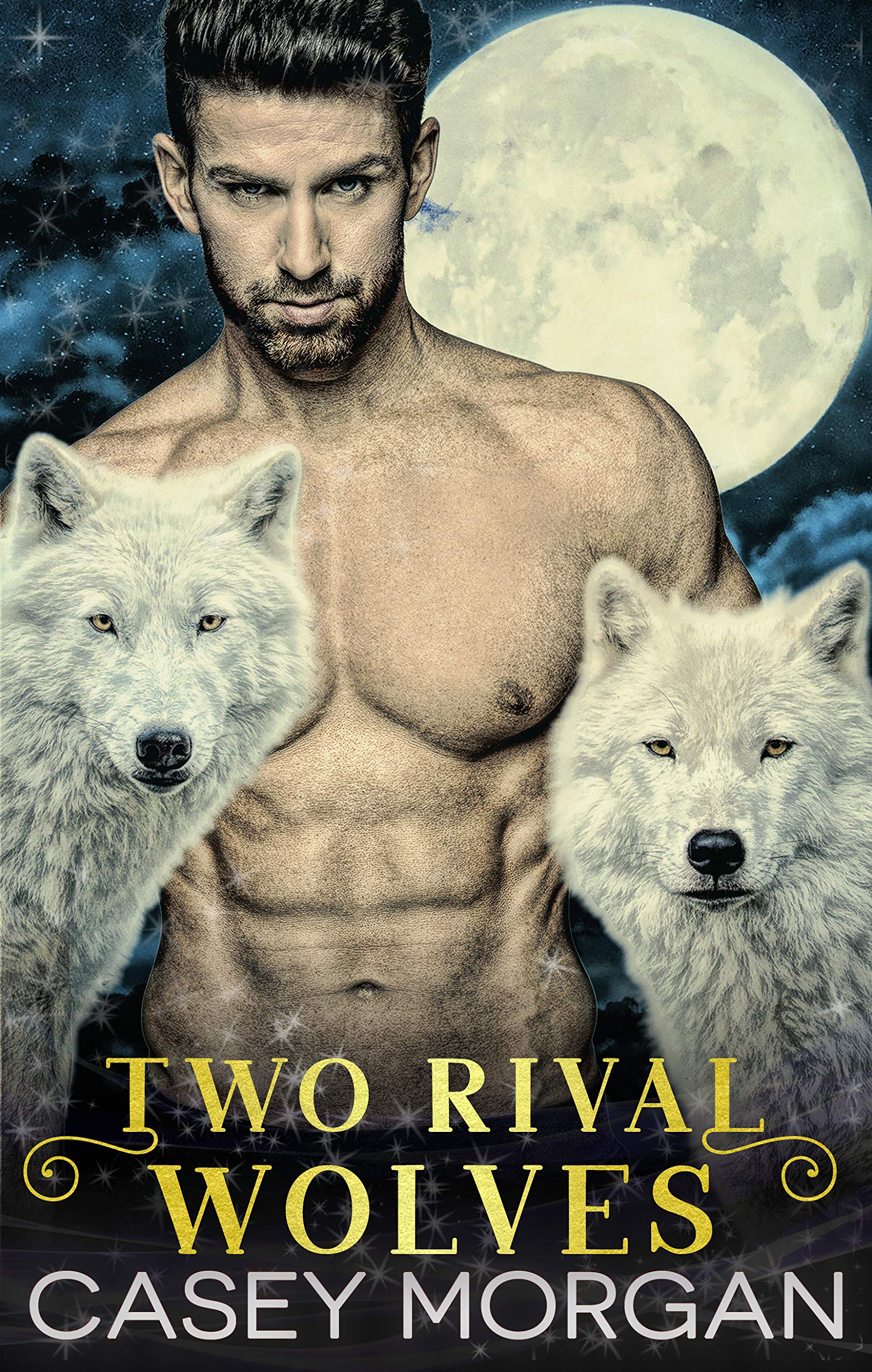 Two Rival Wolves (Bethel Forest Shifters #2) by Casey Morgan | Goodreads