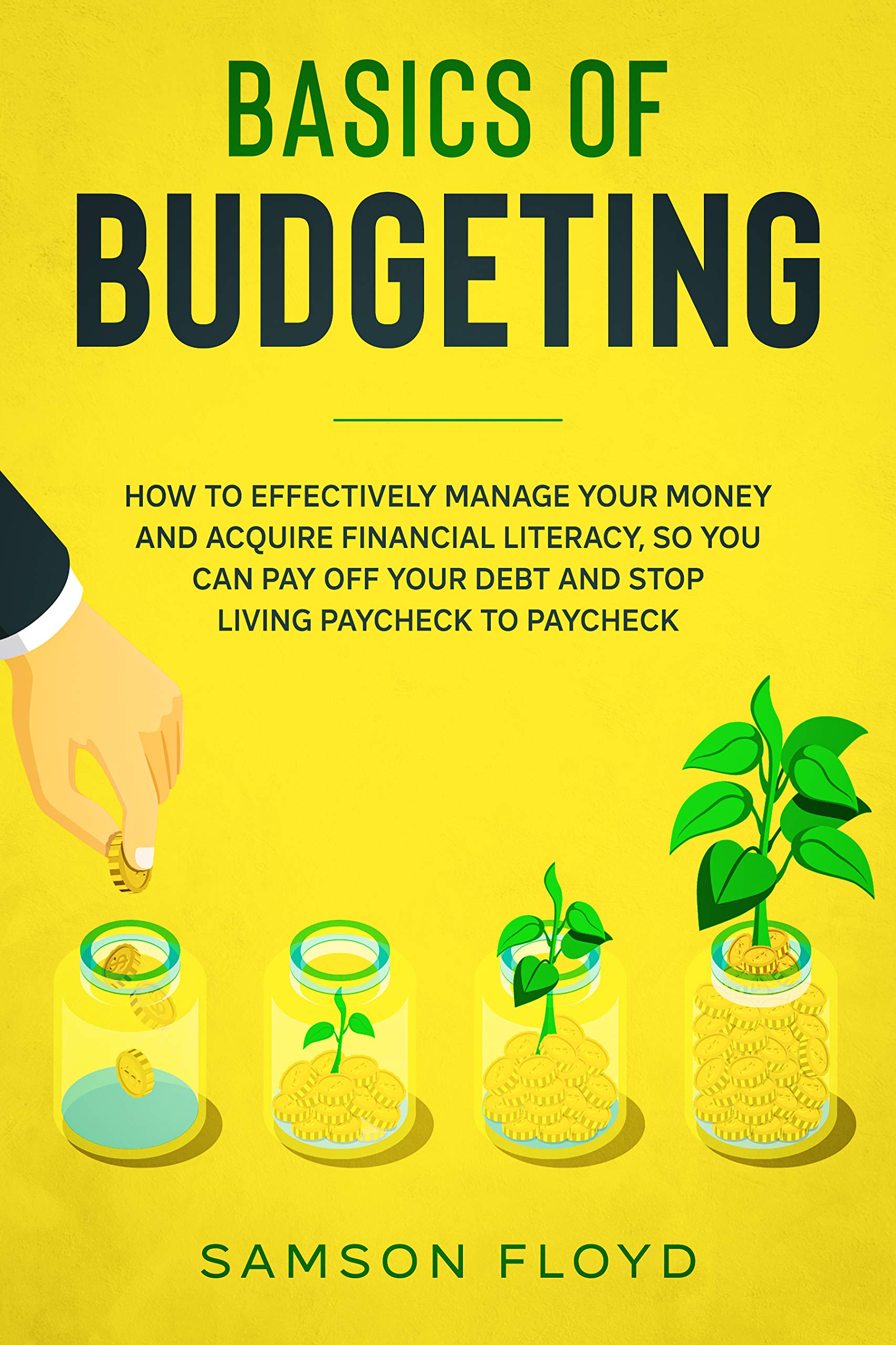 Basics of Budgeting: How to Effectively Manage Your Money and Acquire ...