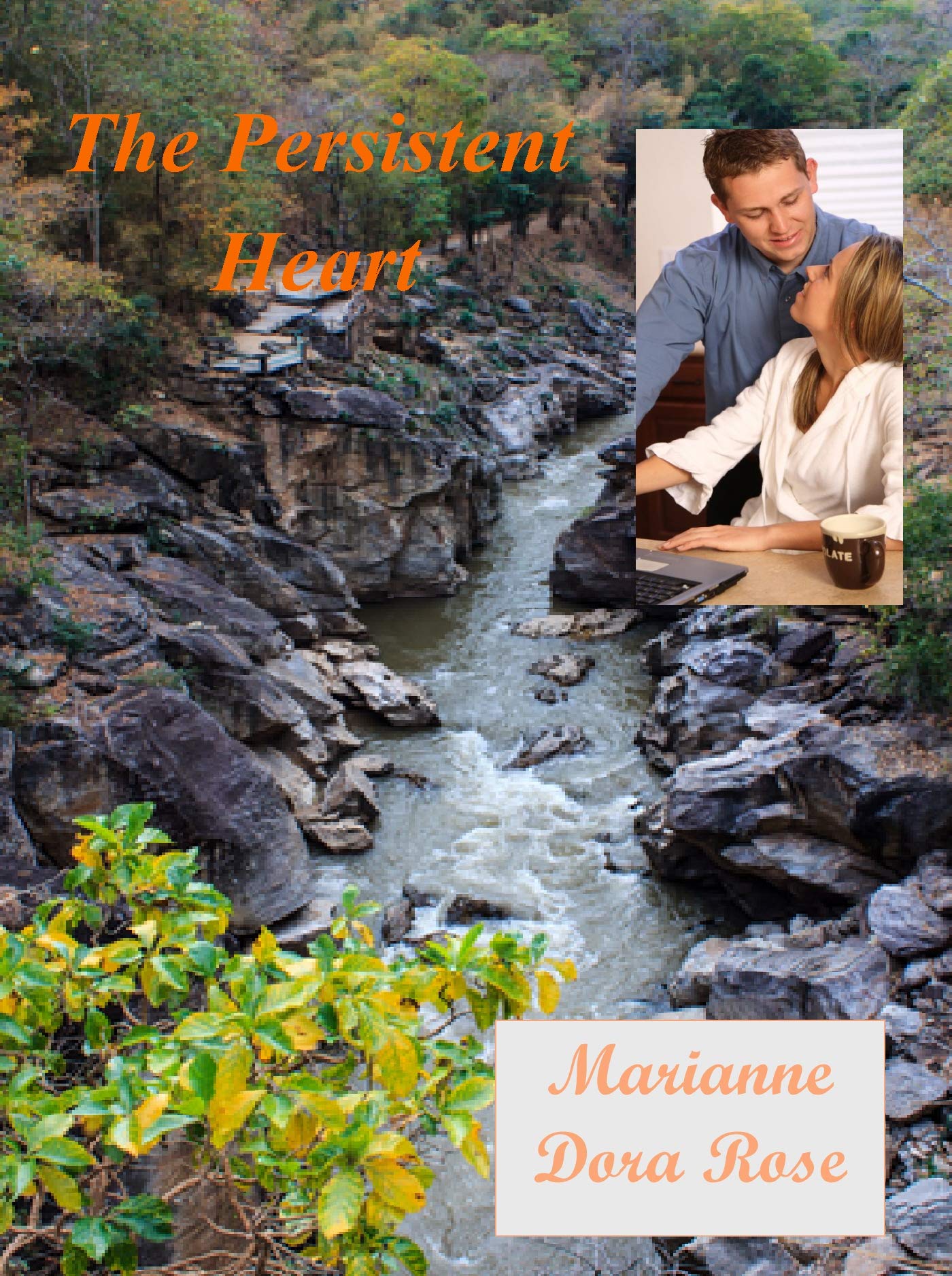 The Persistent Heart by Marianne Dora Rose | Goodreads