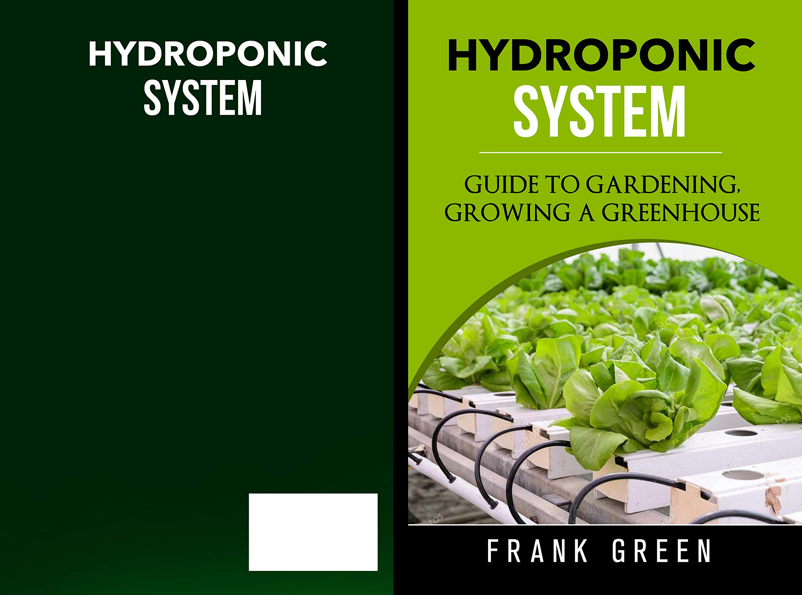 HYDROPONIC SYSTEM: how to build your own hydroponic garden by Frank ...