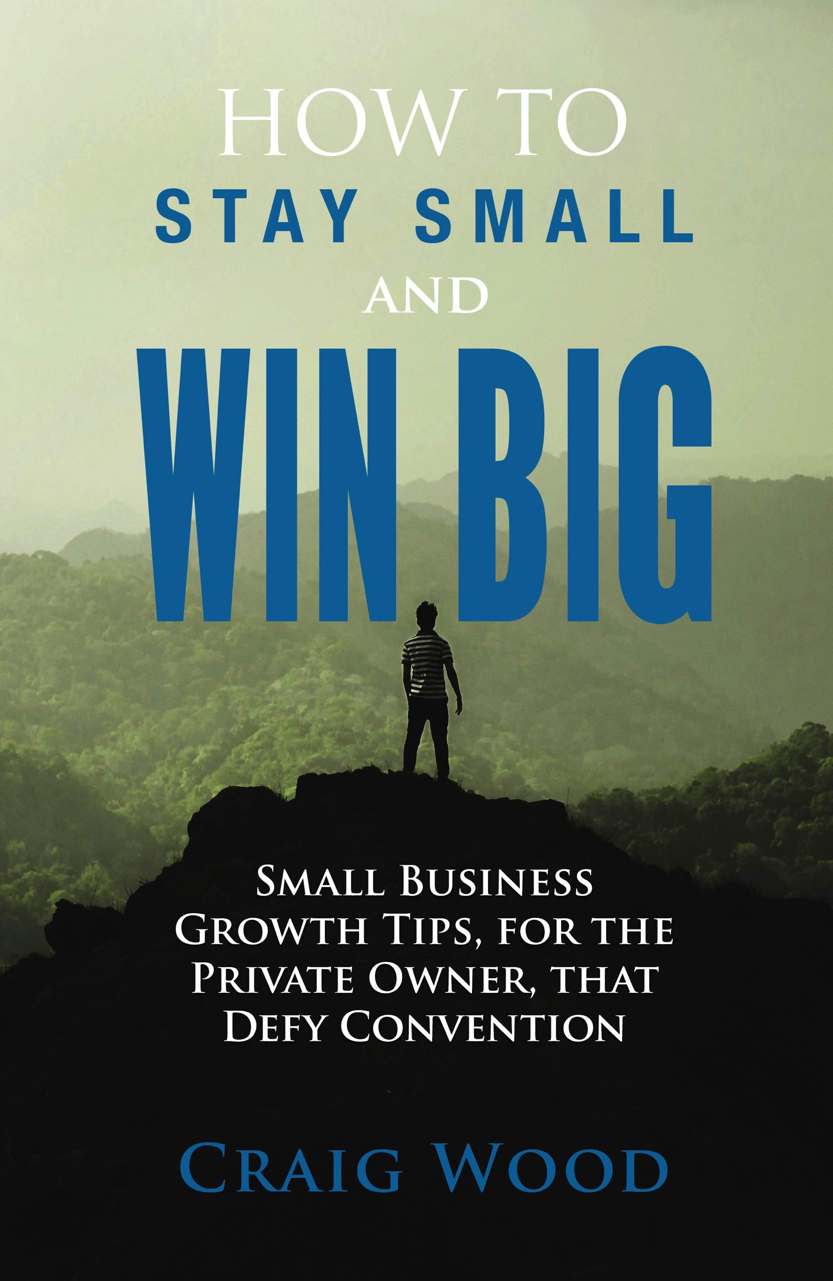 How To Stay Small And Win Big: Small Business Growth Tips, For The ...