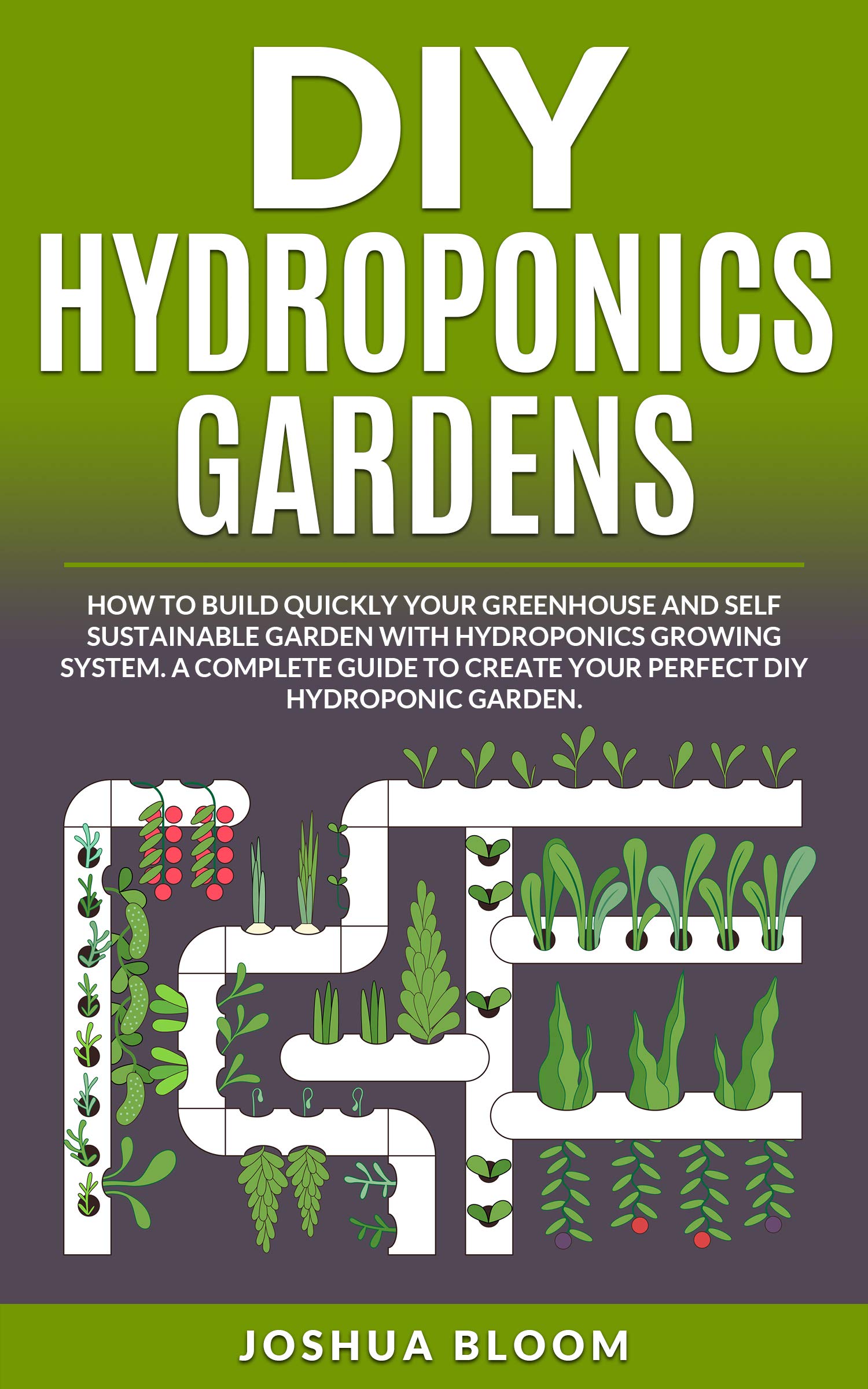 DIY HYDROPONICS GARDENS: How to build quickly your own greenhouse and ...