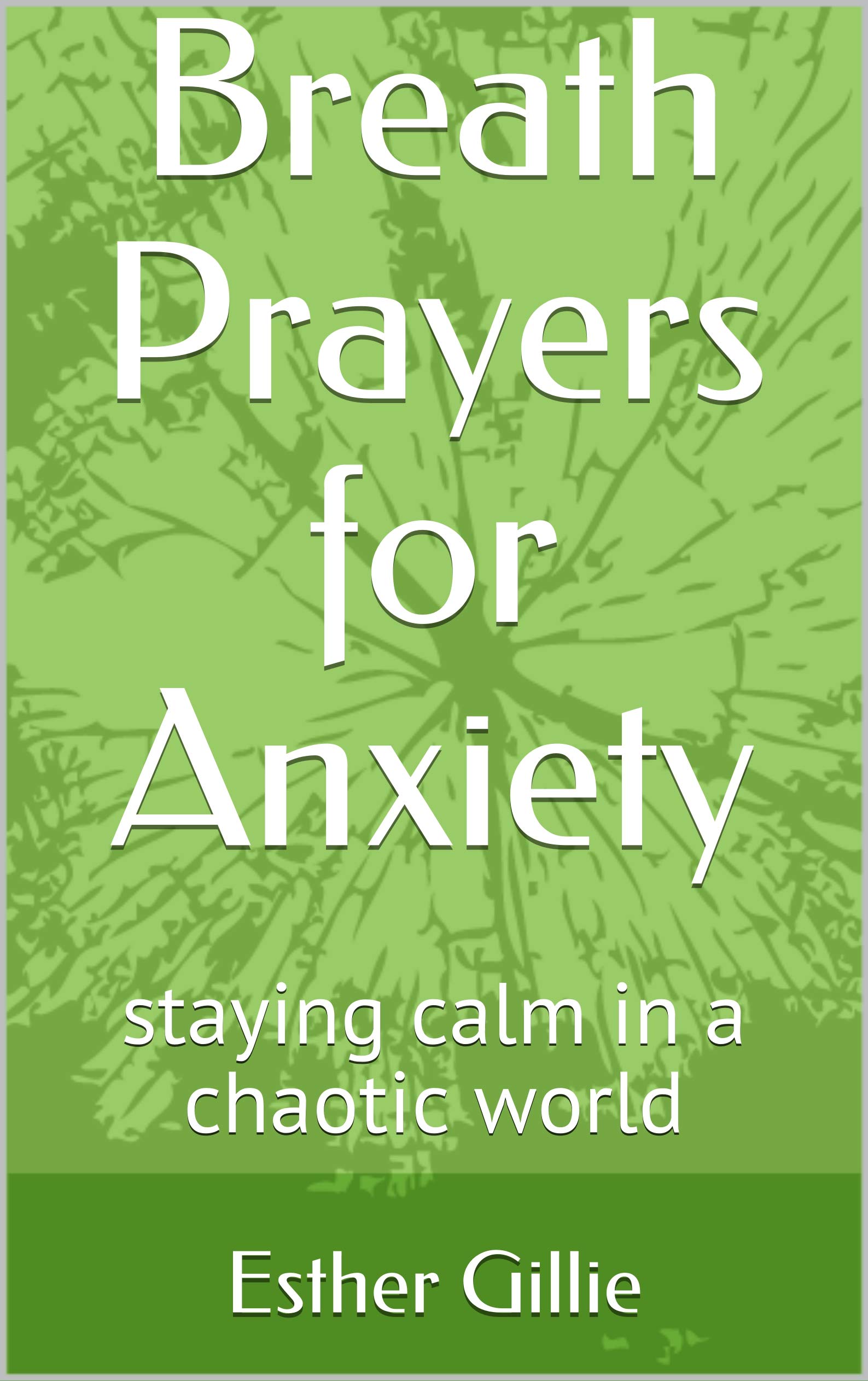 Breath Prayers for Anxiety: staying calm in a chaotic world by Esther R ...