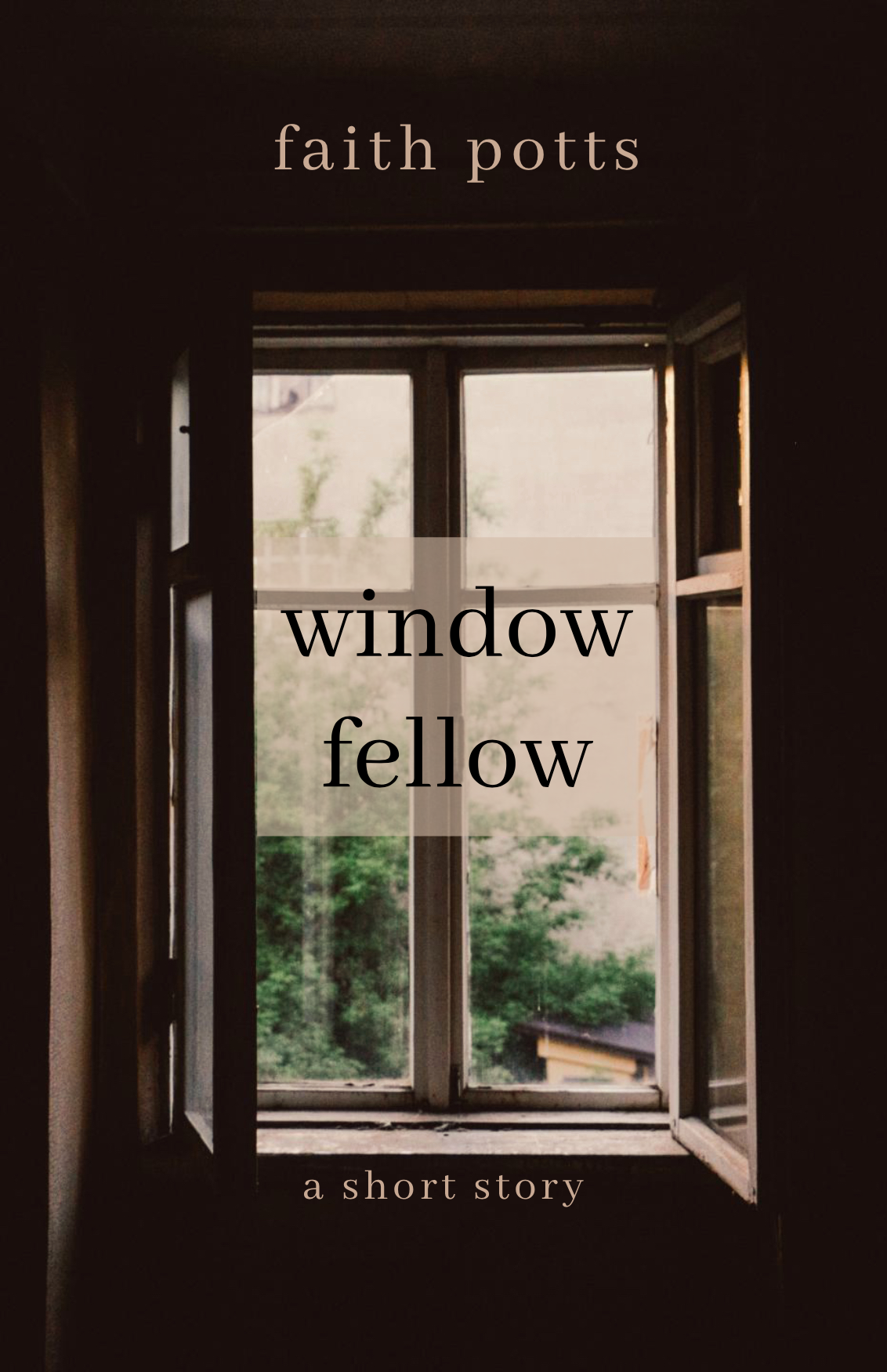 Window Fellow by Faith L. Potts | Goodreads