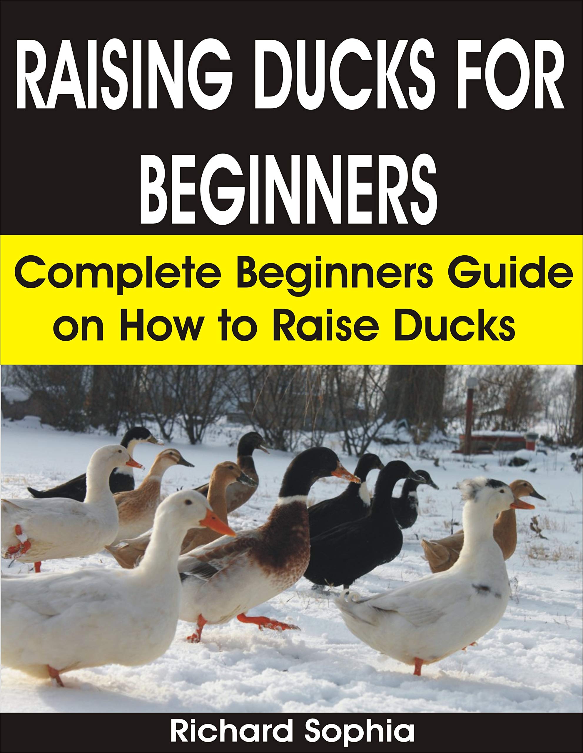 RAISING DUCKS FOR BEGINNERS: Complete Beginners Guide On How to Raise ...