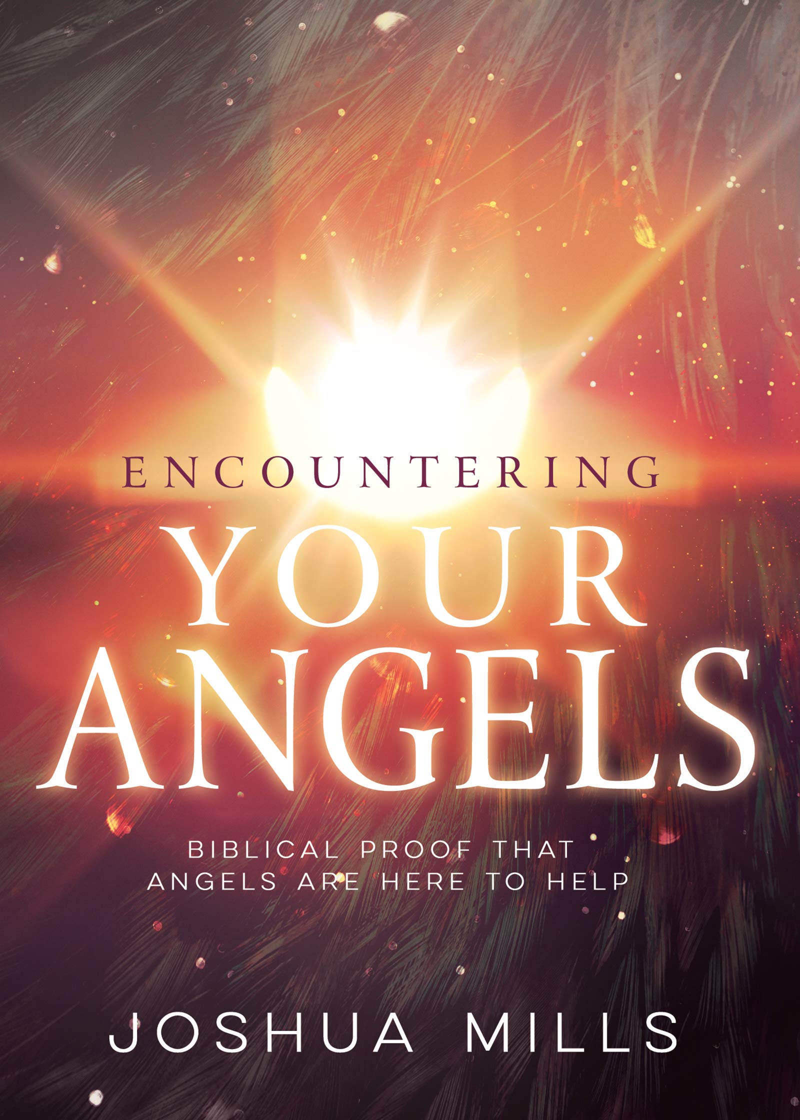 Encountering Your Angels: Biblical Proof That Angels Are Here to Help ...