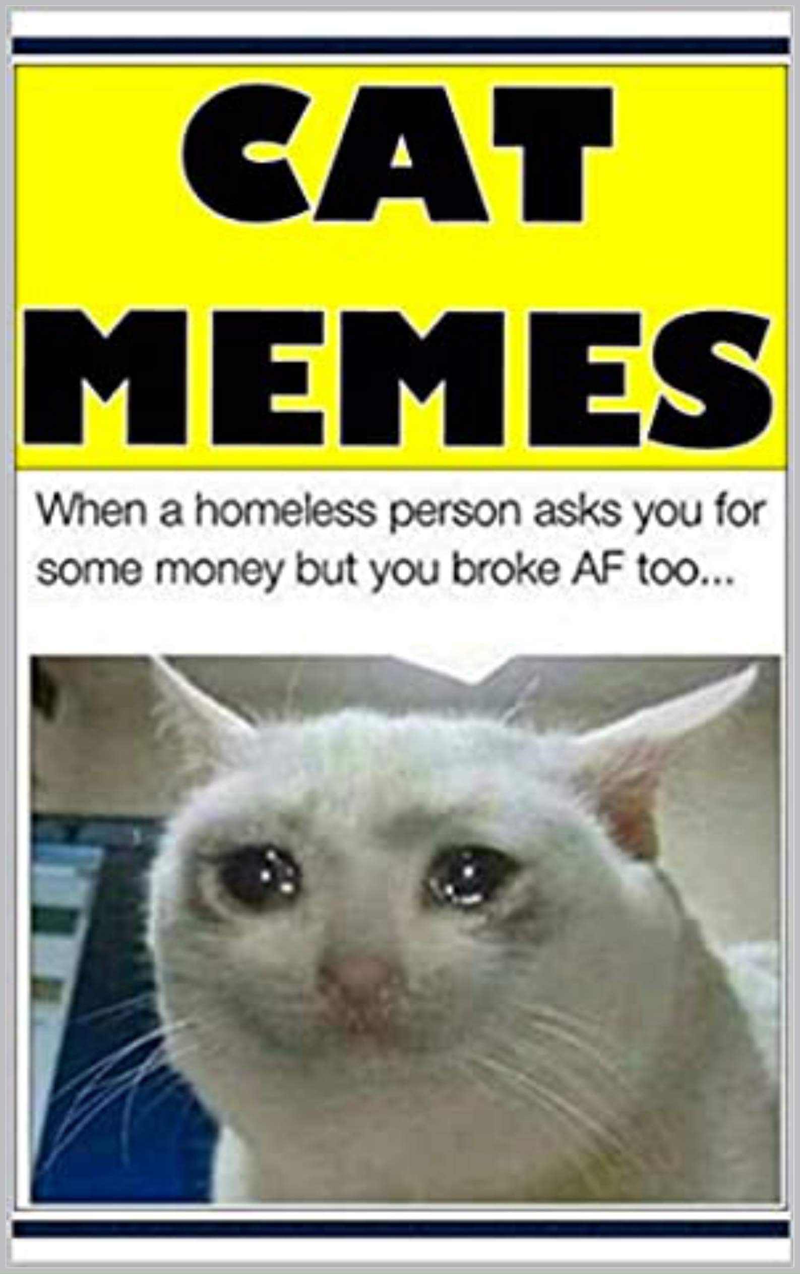 Memes: Hambtastic Cute Kitty Memes LOL Funny Memes With Your Fave Lil ...