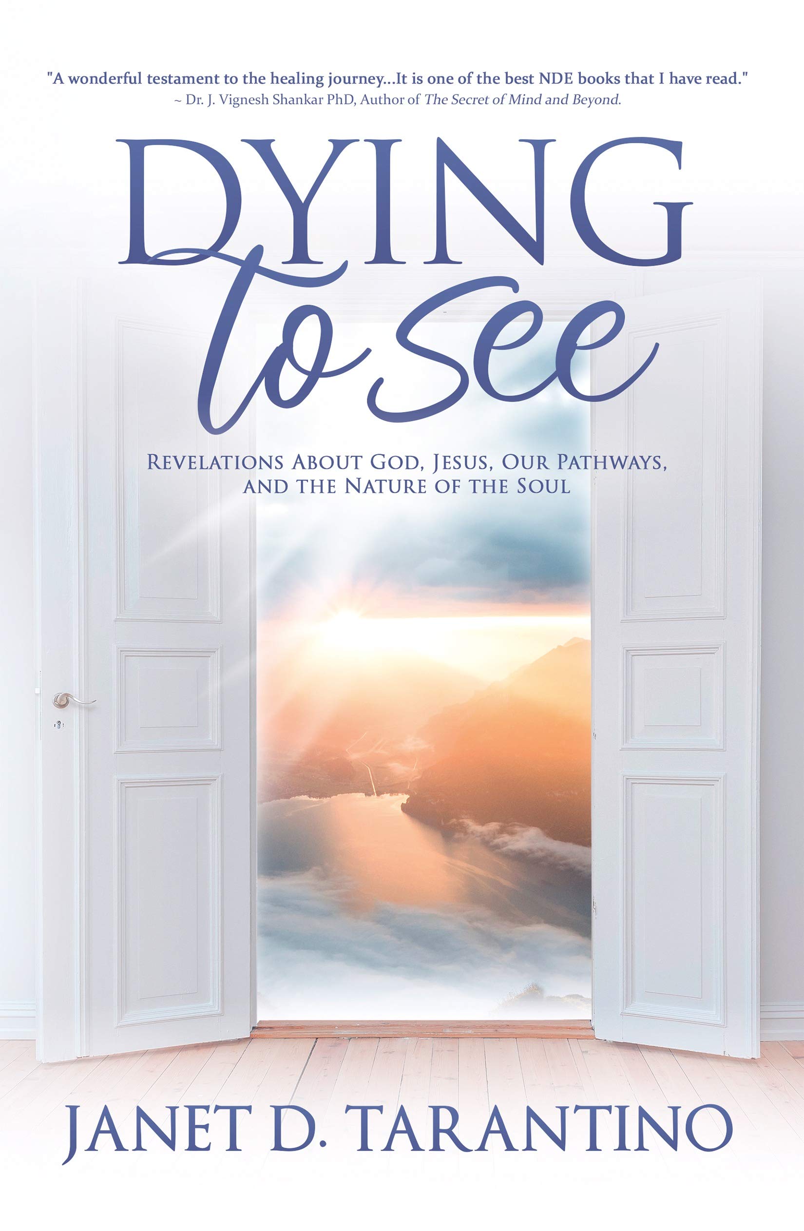 Dying to See: Revelations About God, Jesus, Our Pathways, and The ...