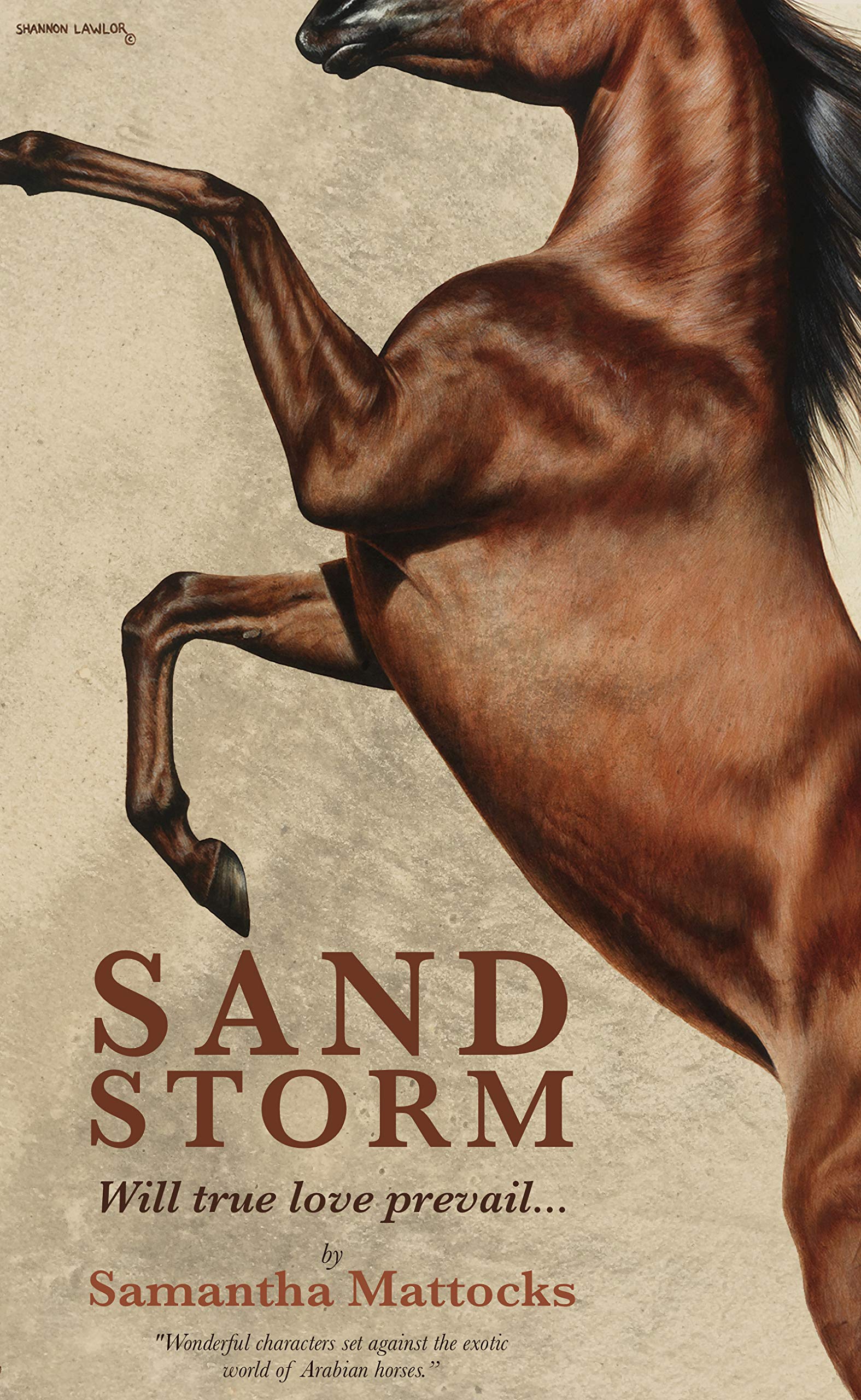Sandstorm by Samantha Mattocks | Goodreads