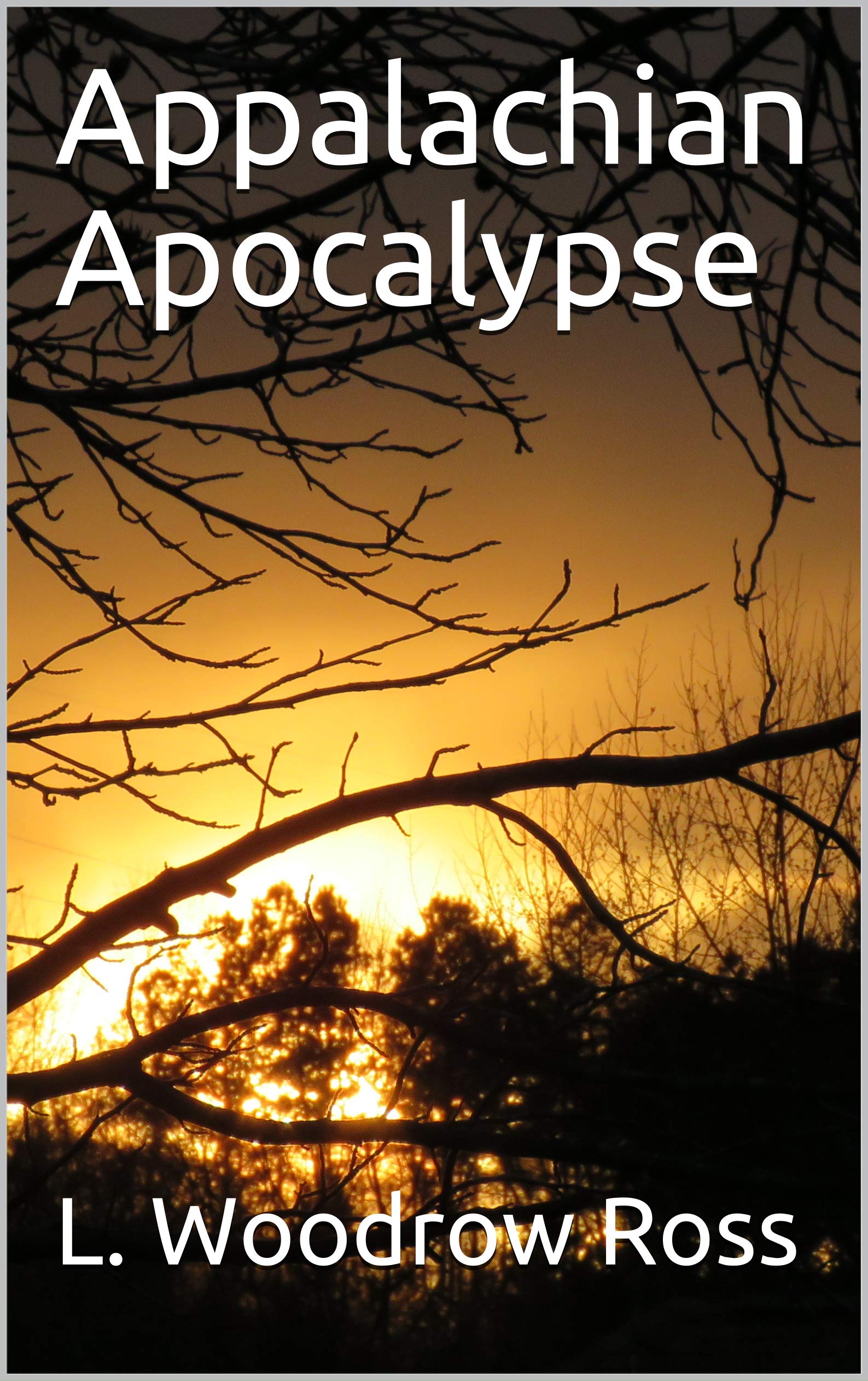 Appalachian Apocalypse by L. Woodrow Ross | Goodreads